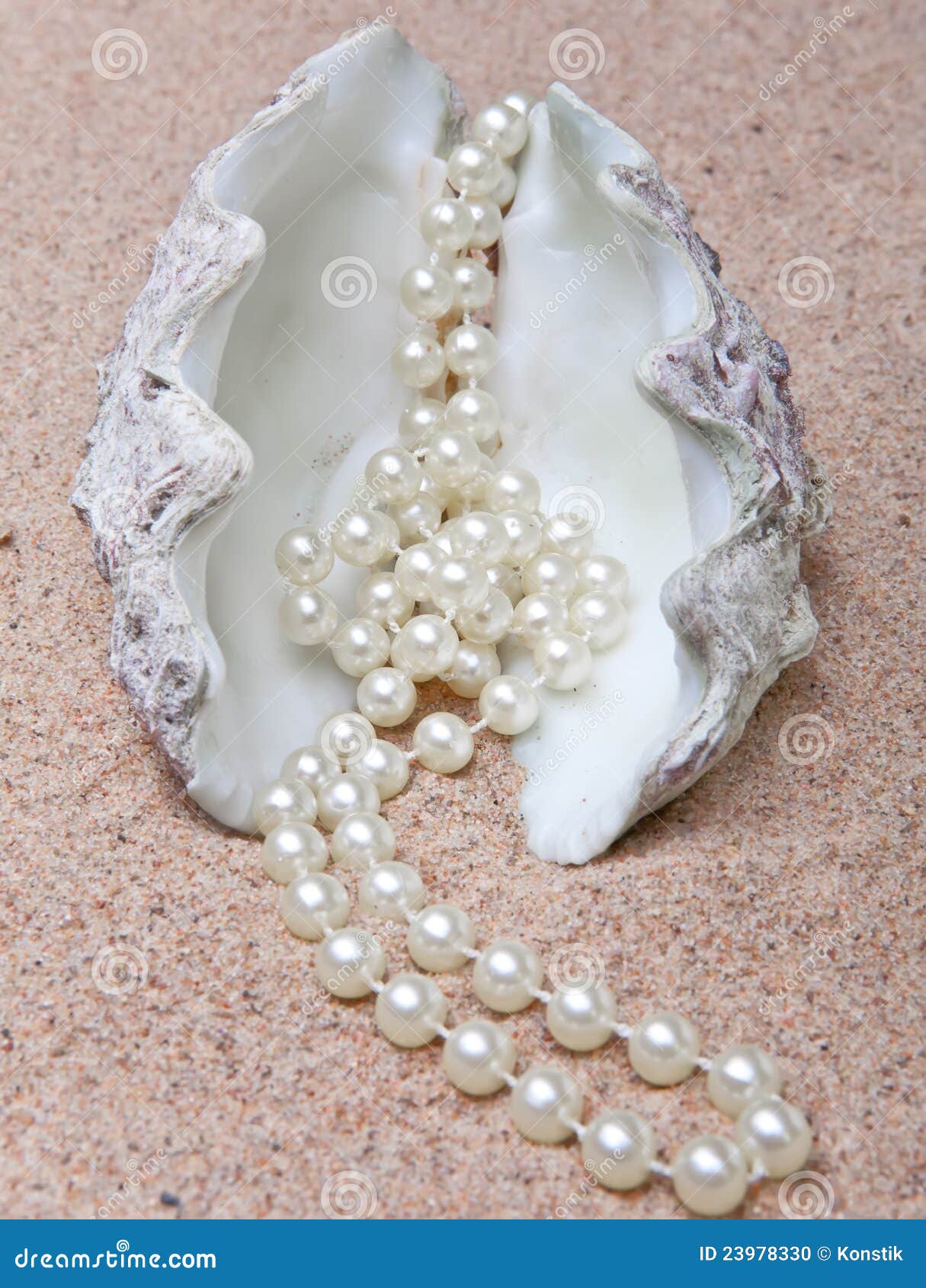 Pearl and Shell Lie on Sand.Close Up Stock Photo - Image of macro, life ...