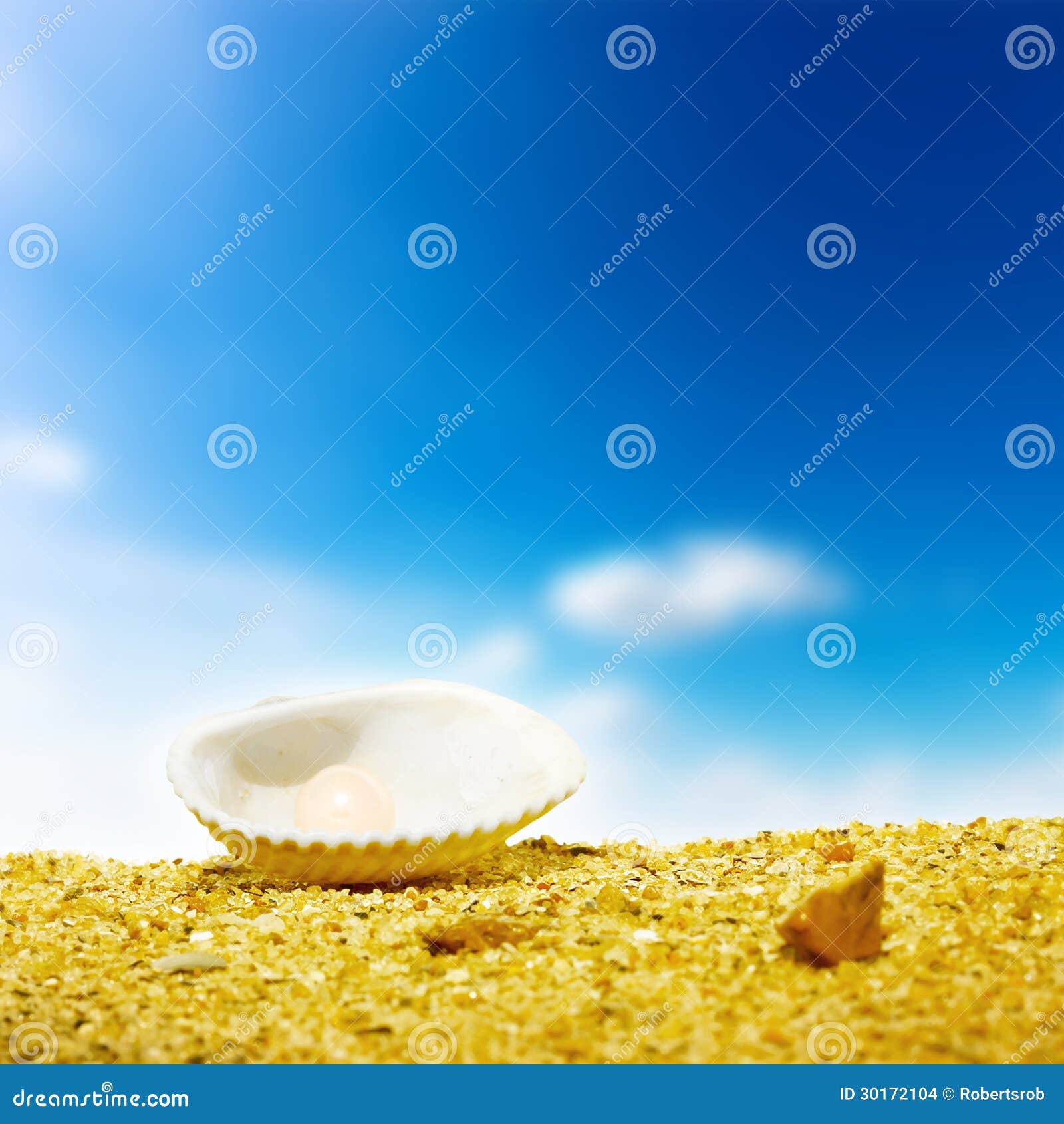 Pearl stock photo. Image of shade, marine, seaside, lonely - 30172104