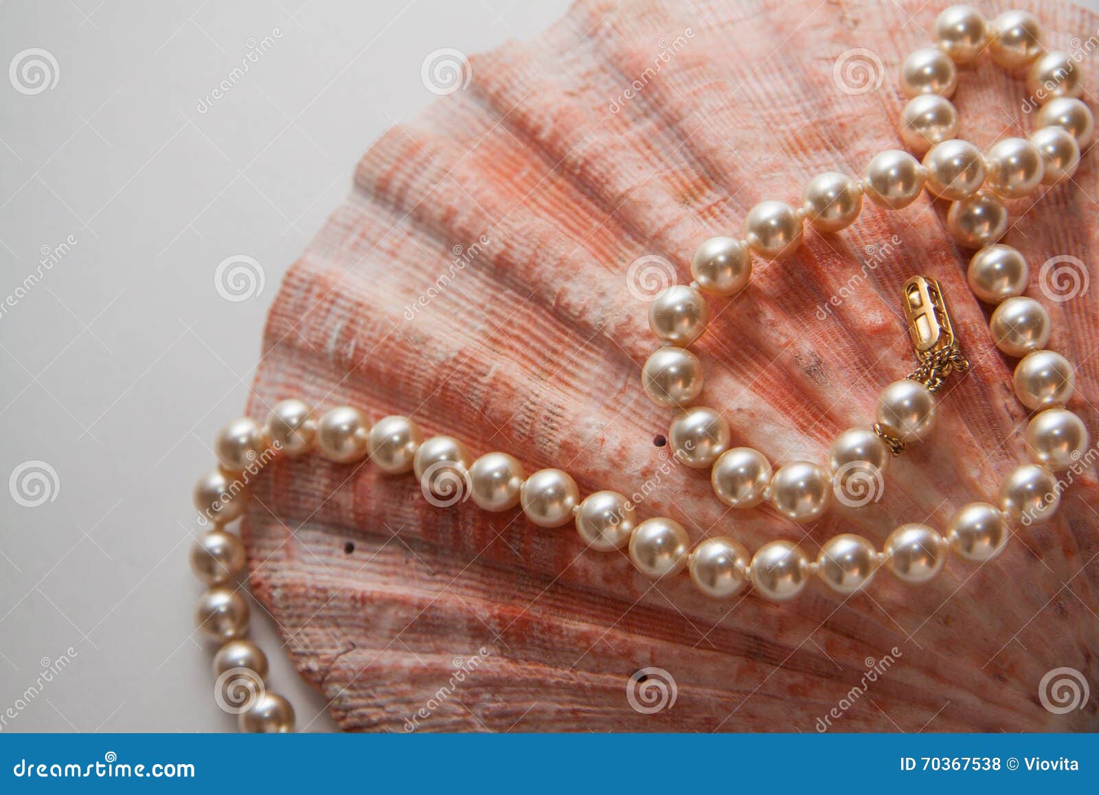 Pearl Shells Stock Image | CartoonDealer.com #51063067
