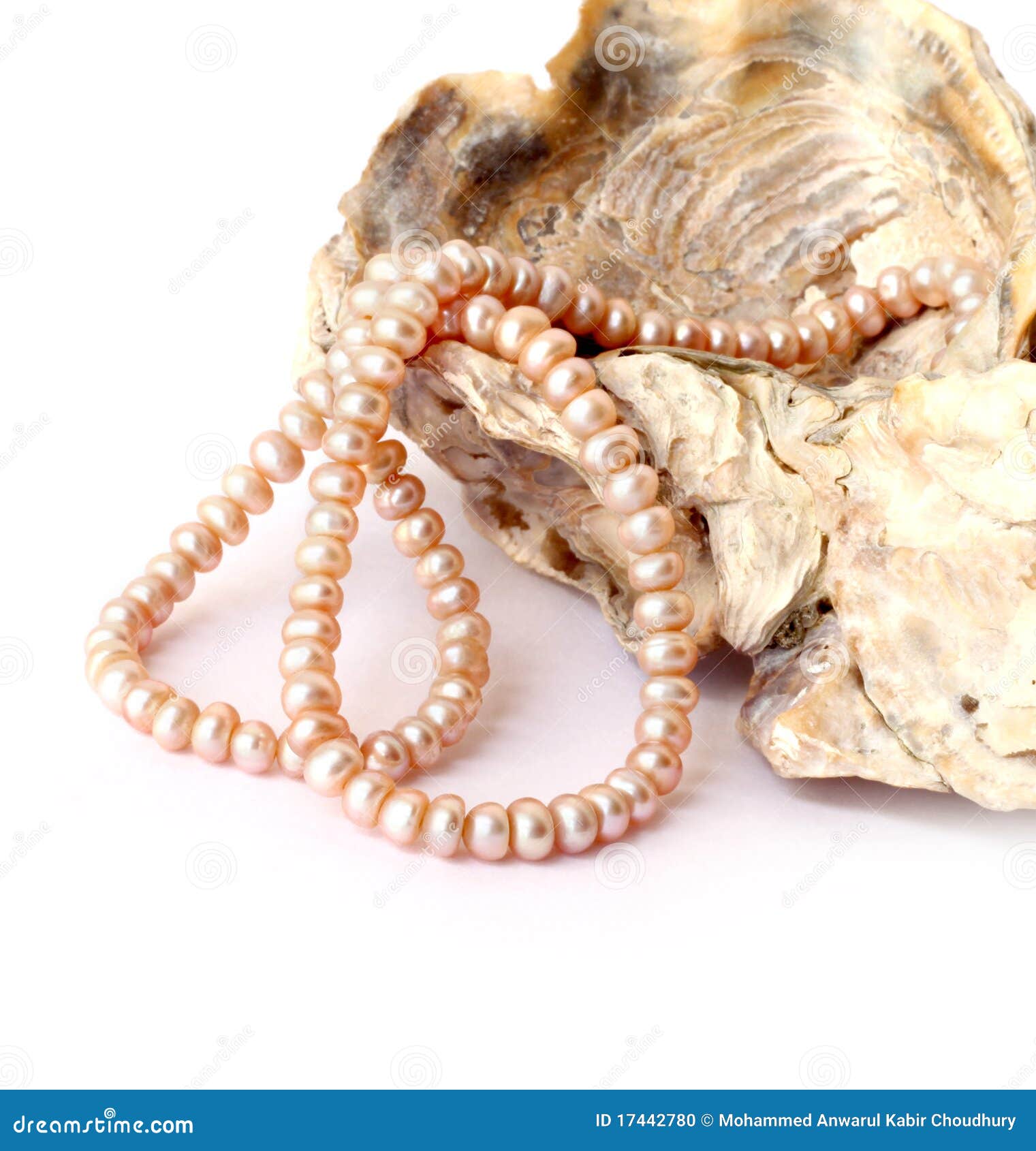 Pearl string stock photo. Image of oyster, fashion, beauty - 17442780