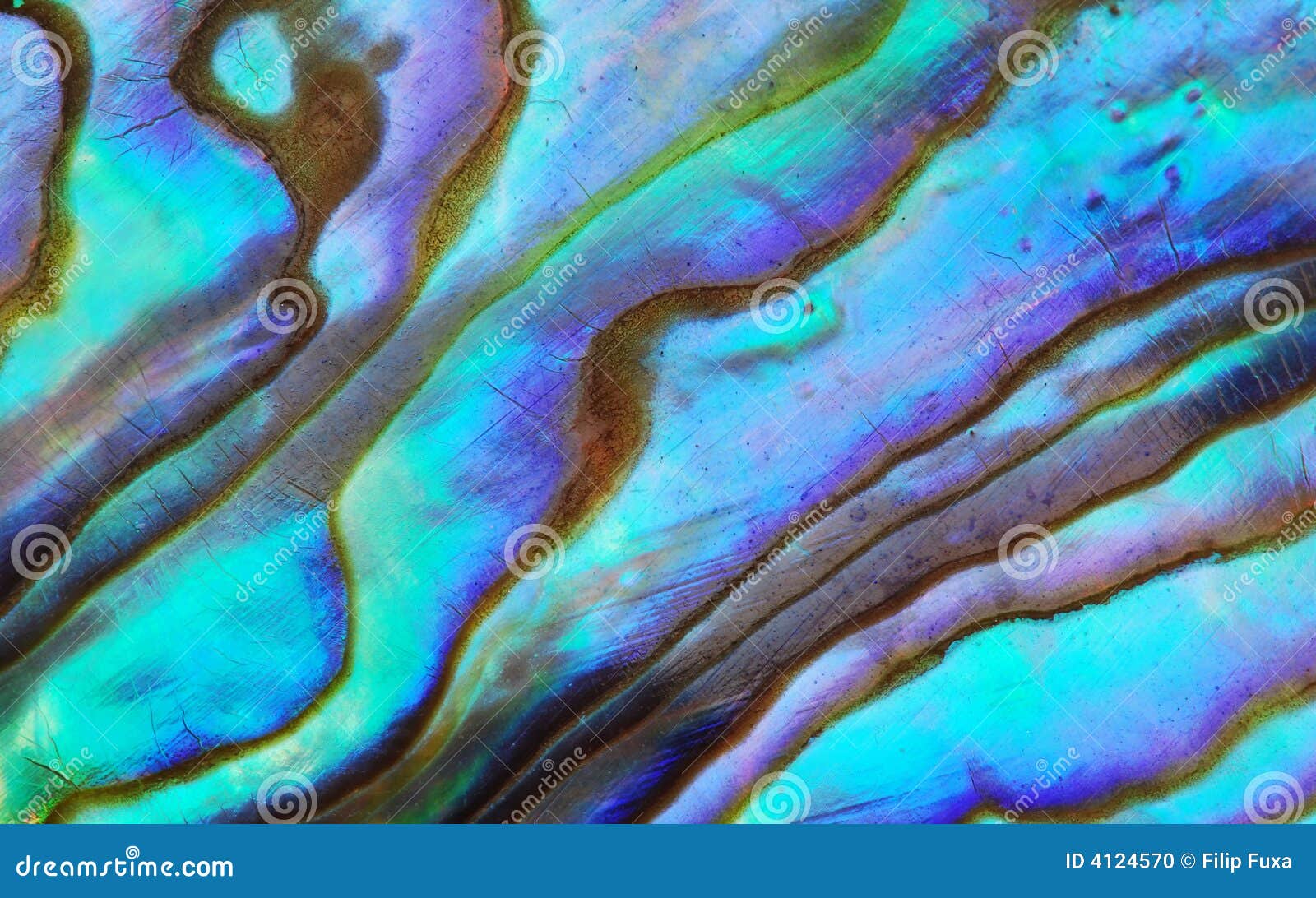 Pearl texture stock photo. Image of rainbow, mother, detail - 4124570