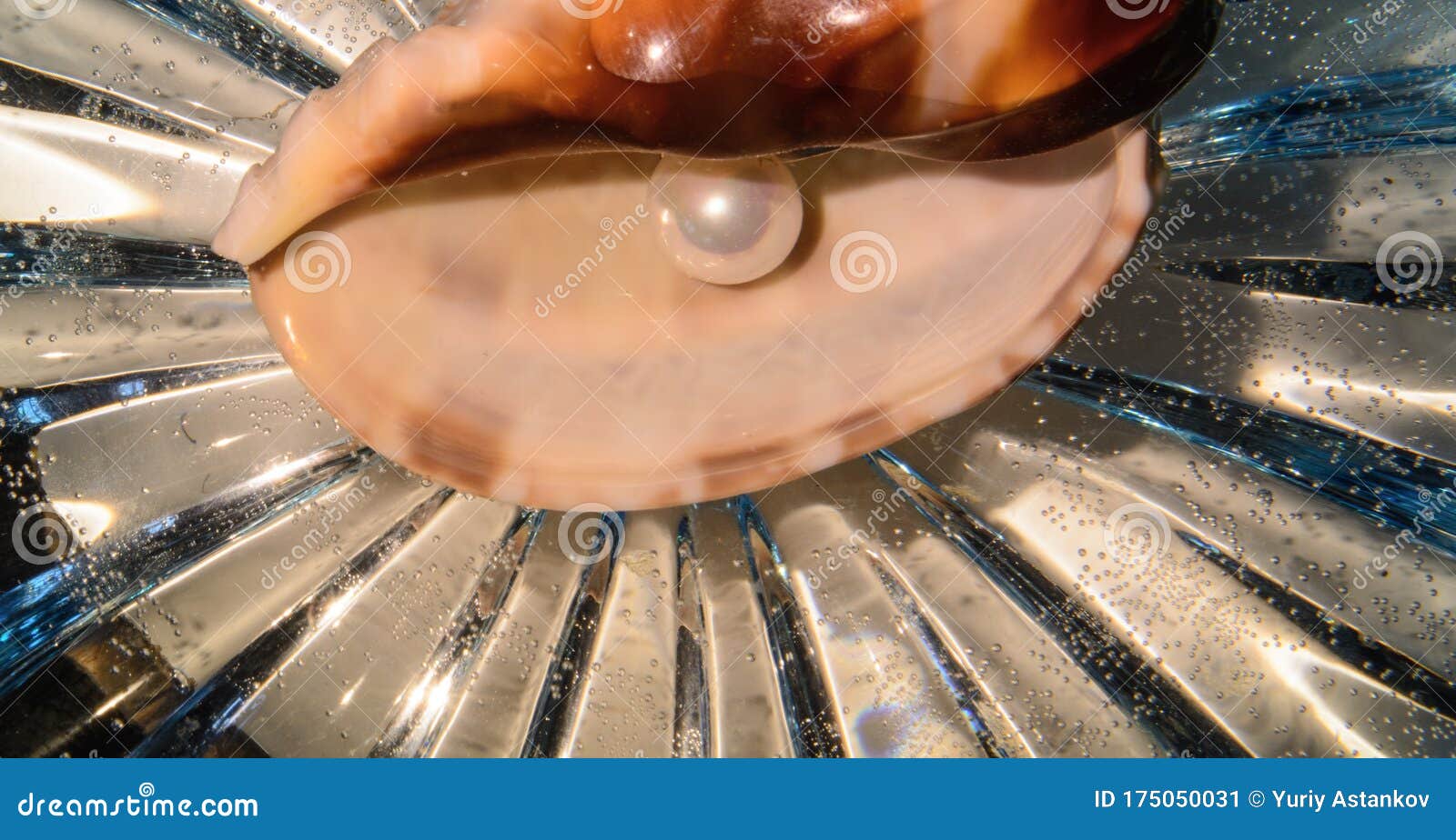 A Pearl is Visible in the Sea Shell. Stock Image - Image of beach ...