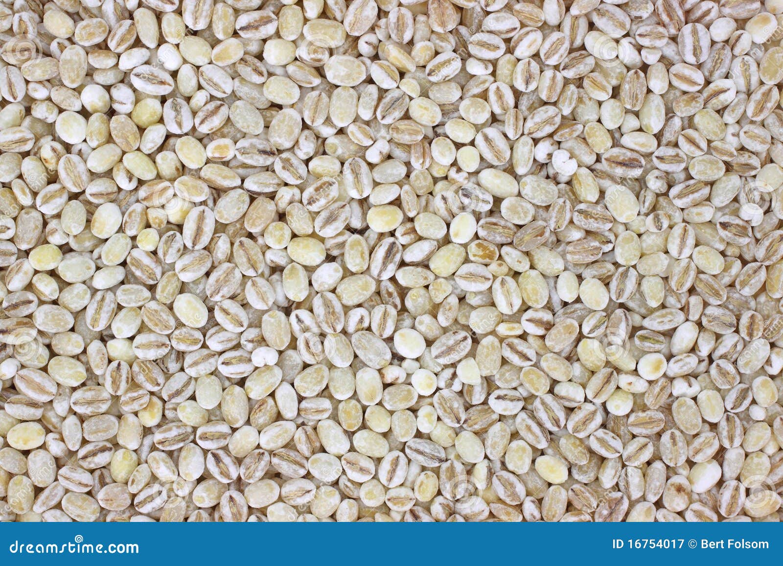 Pearled barley stock image. Image of husks, pearled, grain - 16754017