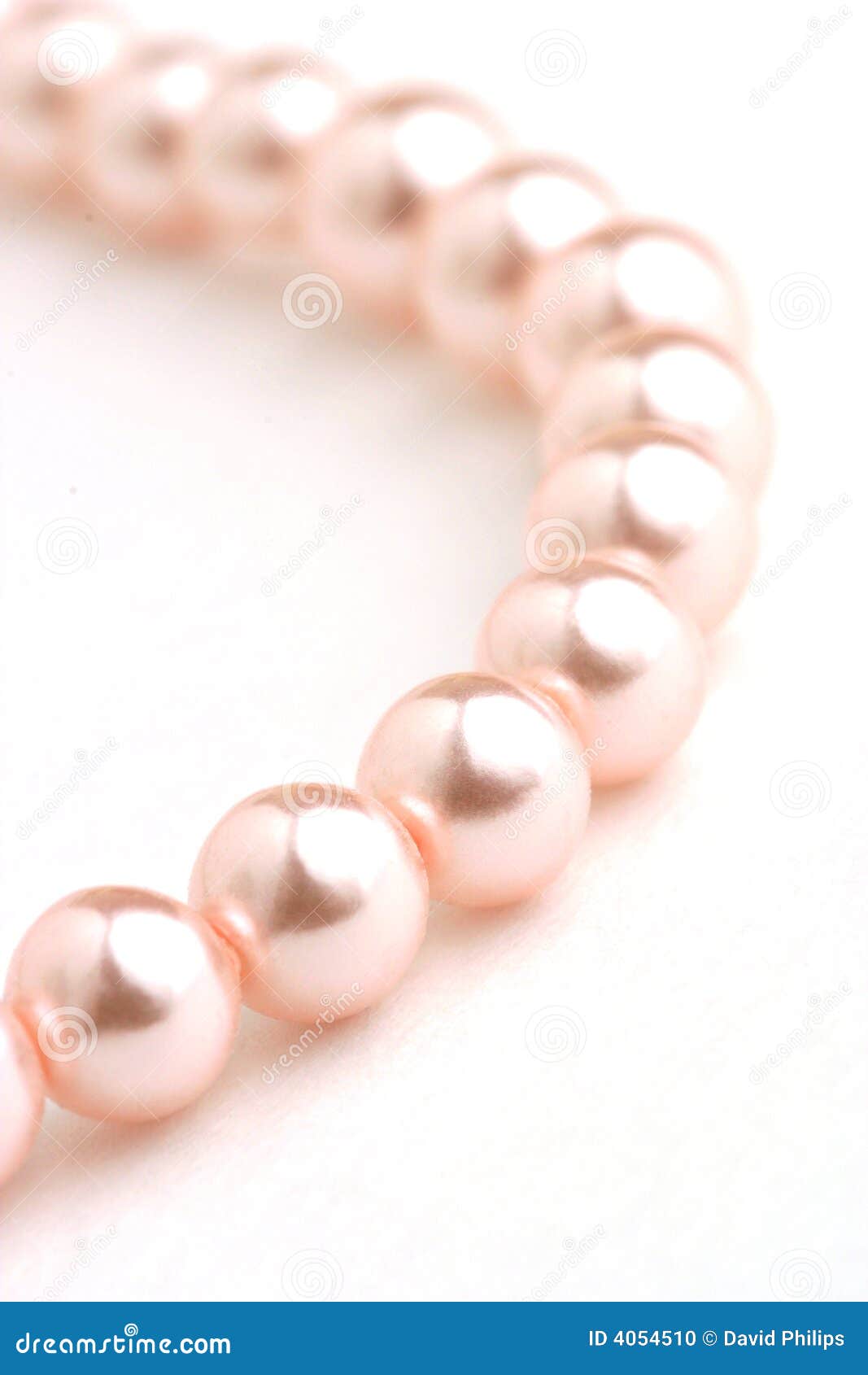 Pearls stock photo. Image of string, jewelry, background - 4054510