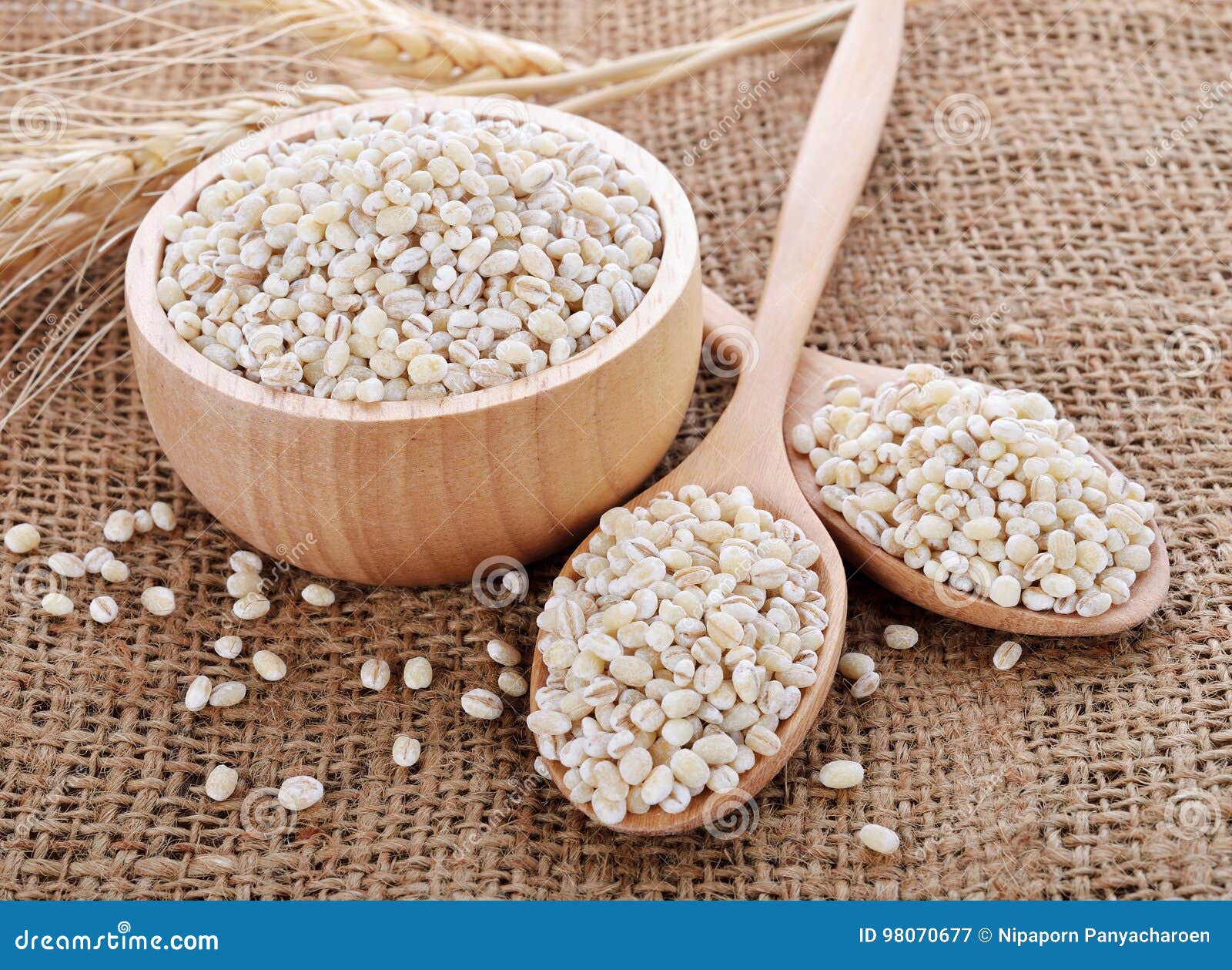 Pearls barley grain seed stock image. Image of natural - 98070677