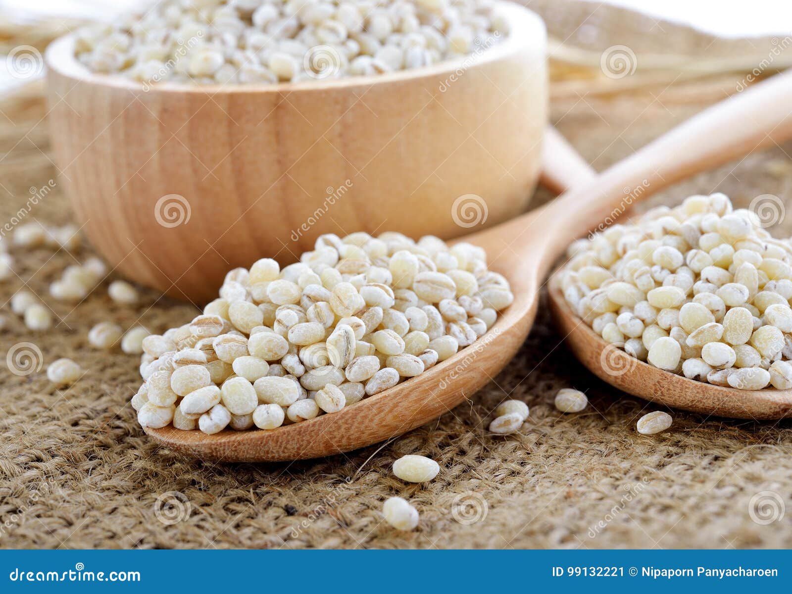 Pearls barley grain seed stock image. Image of hordeum - 99132221