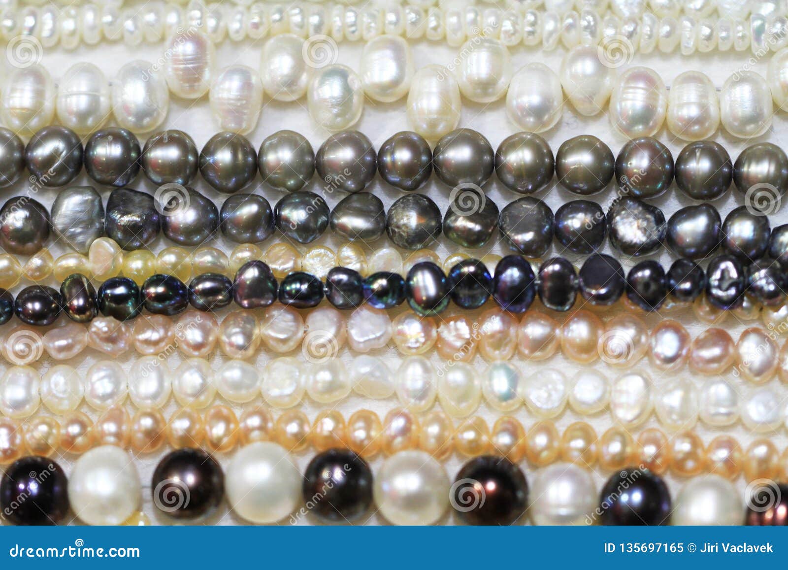 Pearls natural texture stock image. Image of nacre, pink - 135697165