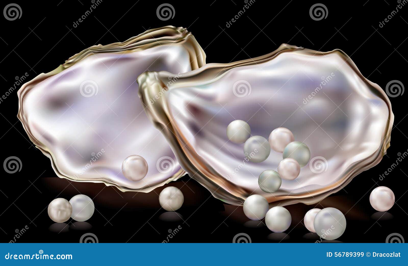 Pearls in the oyster shell stock vector. Illustration of jewelry - 56789399