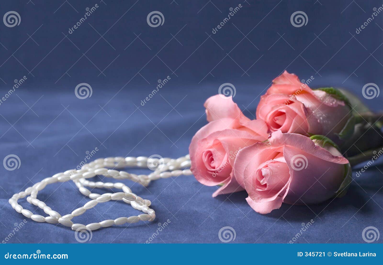 Pearls and roses stock image. Image of bright, grey, birthday - 345721