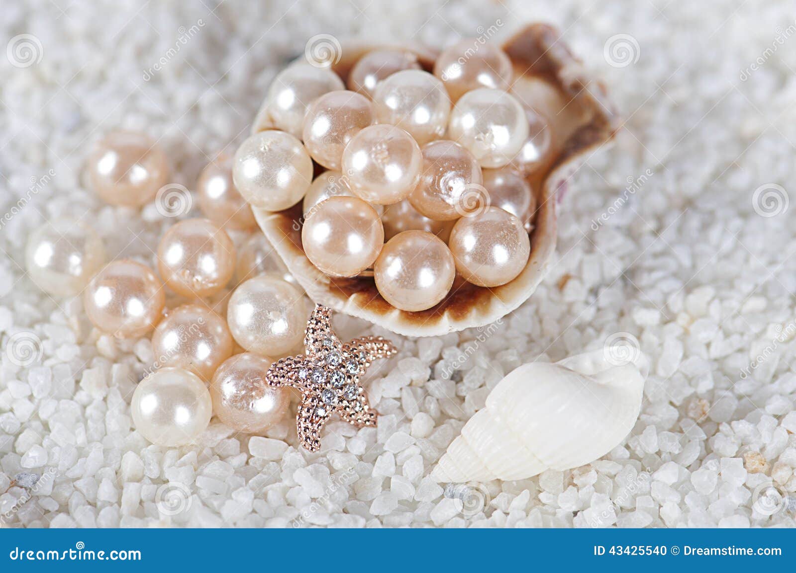 Pearls in the sea shell stock photo. Image of macro, creativity - 43425540