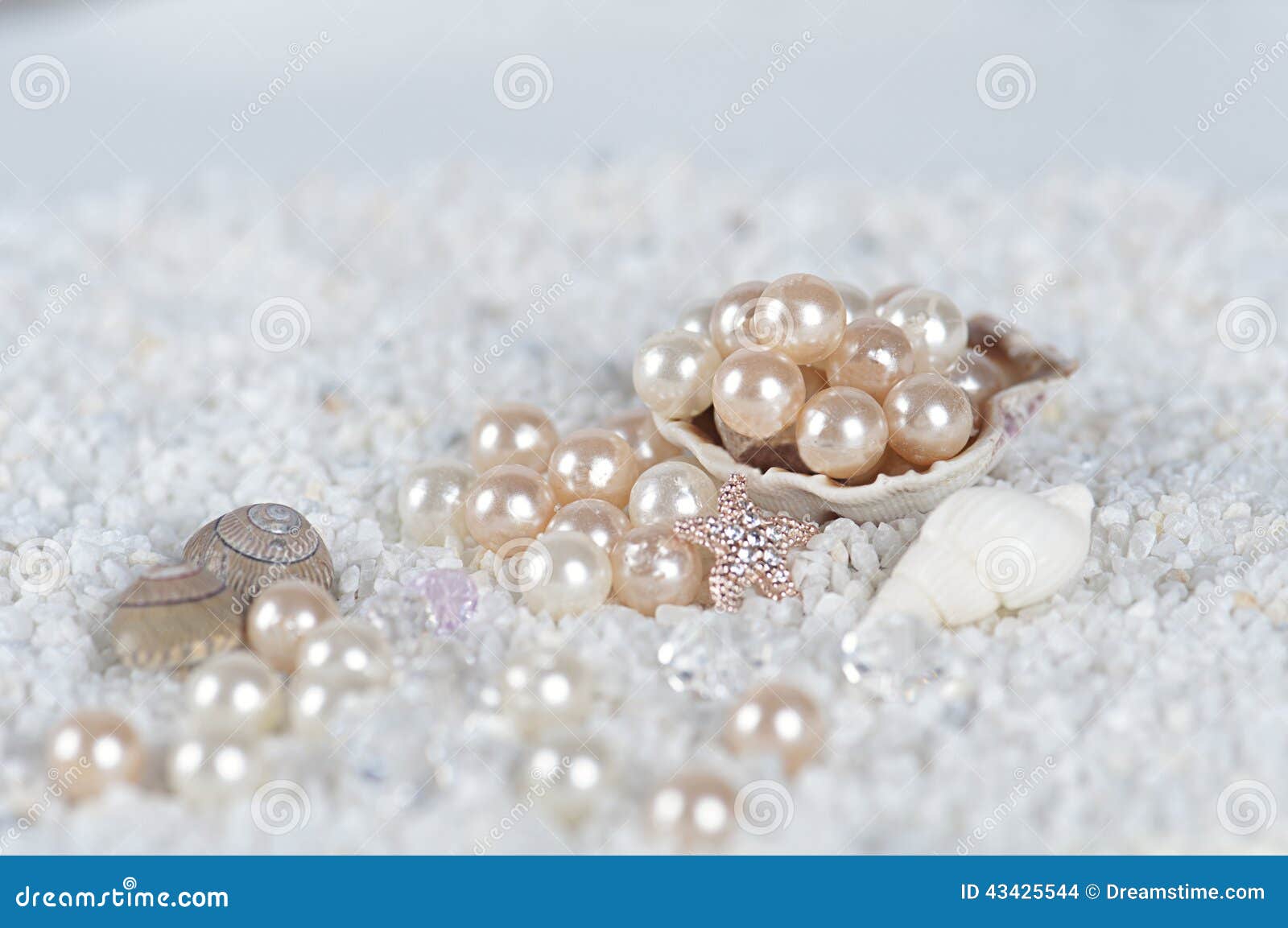 Pearls in the sea shell stock photo. Image of tenderness - 43425544
