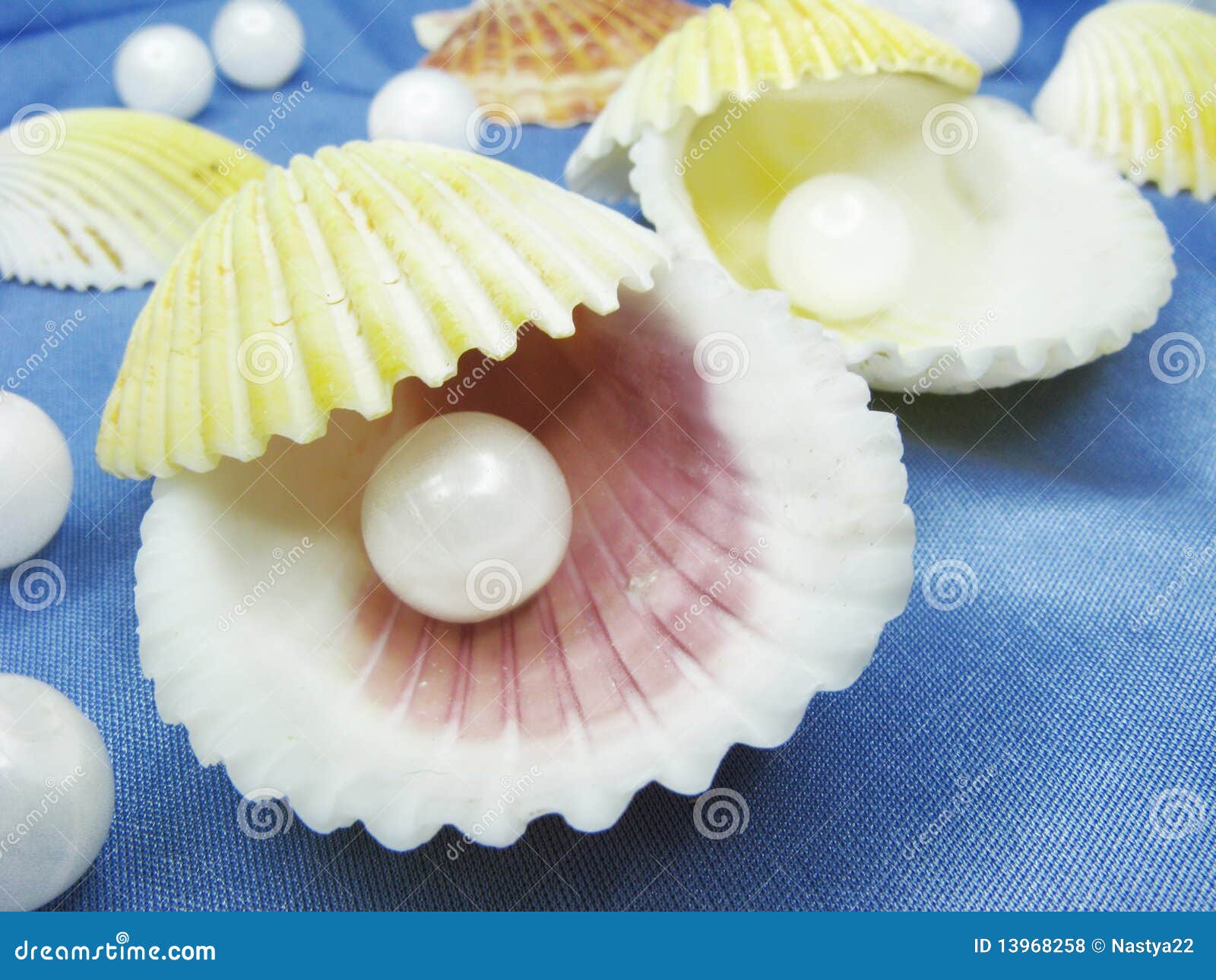 Pearls In Shell In Sea