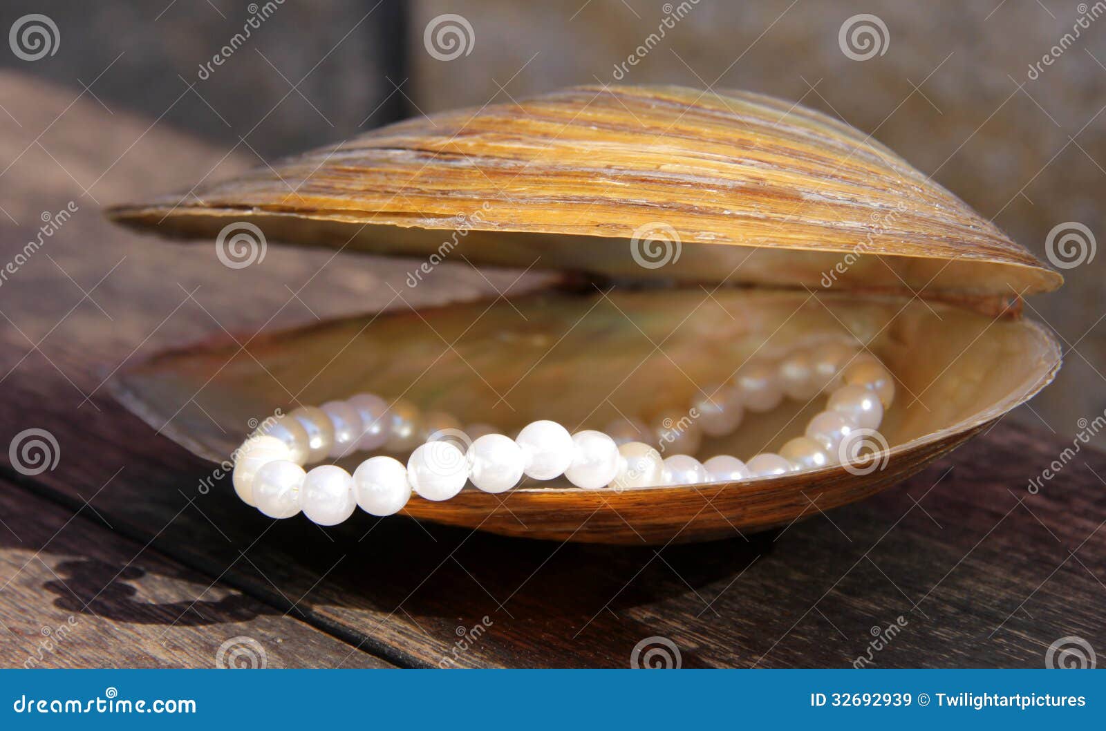Pearls and shell stock image. Image of chain, bubble - 32692939