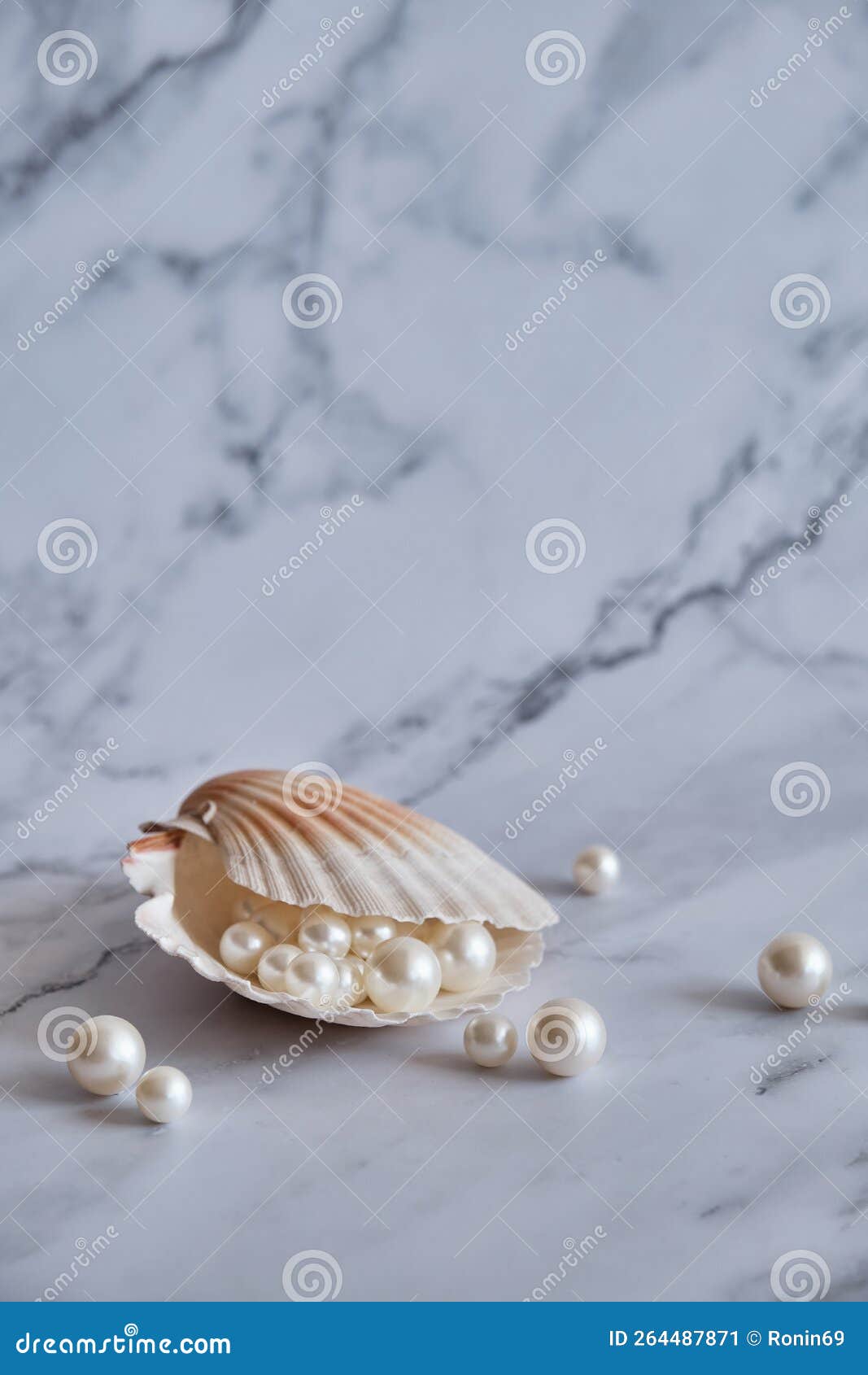 Pearls in a Shell on a Marble Background Stock Image - Image of design ...