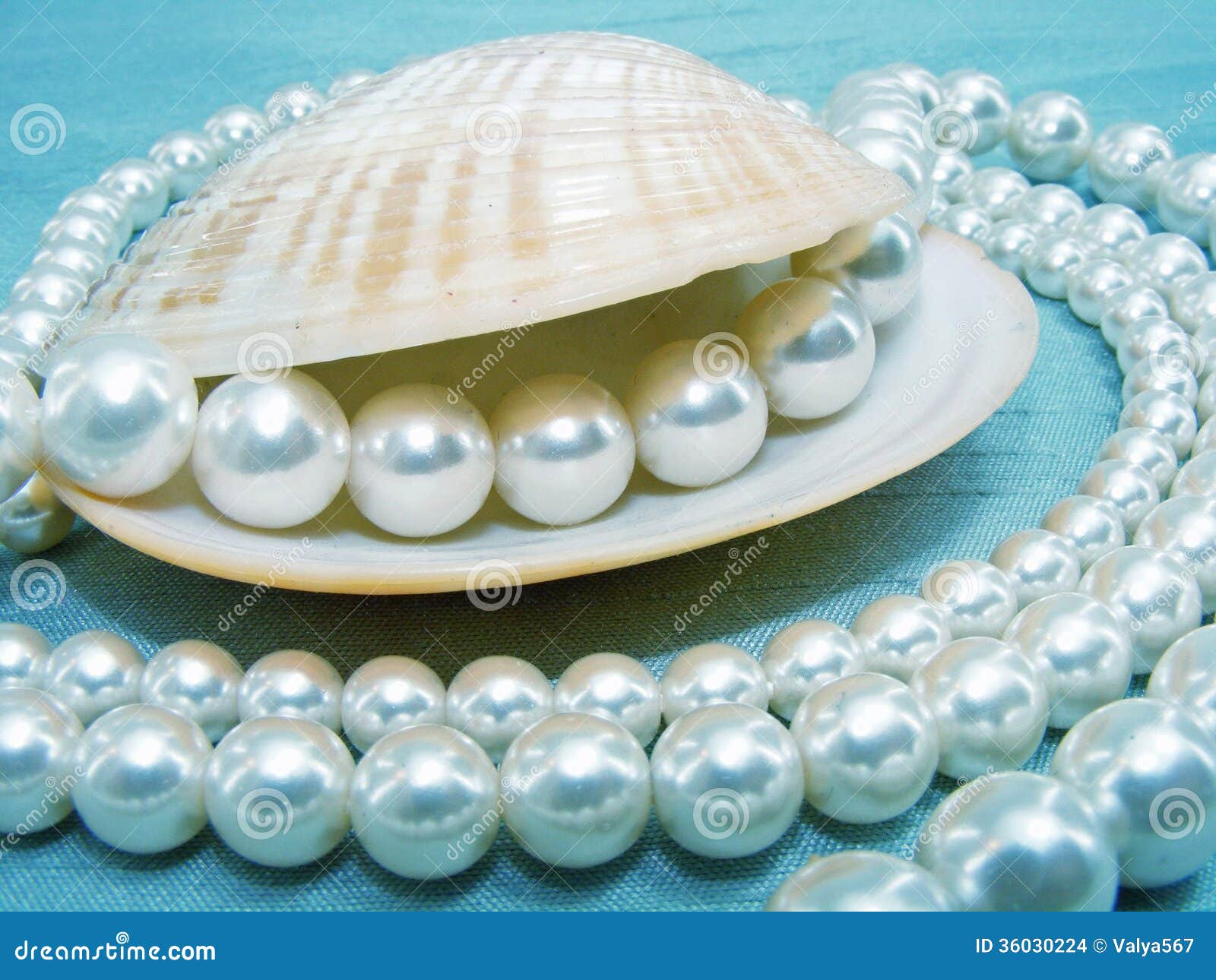 Pearls and shell stock photo. Image of colors, border - 36030224