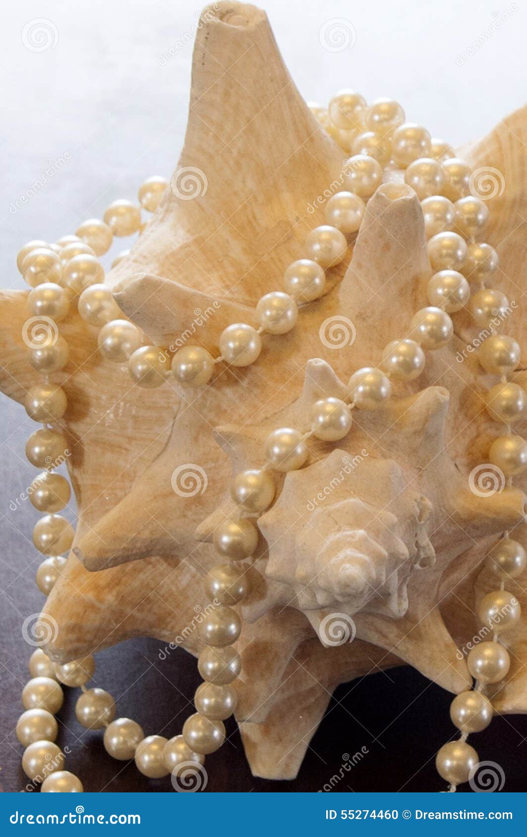 Pearls on a shell stock photo. Image of blue, accessories - 55274460