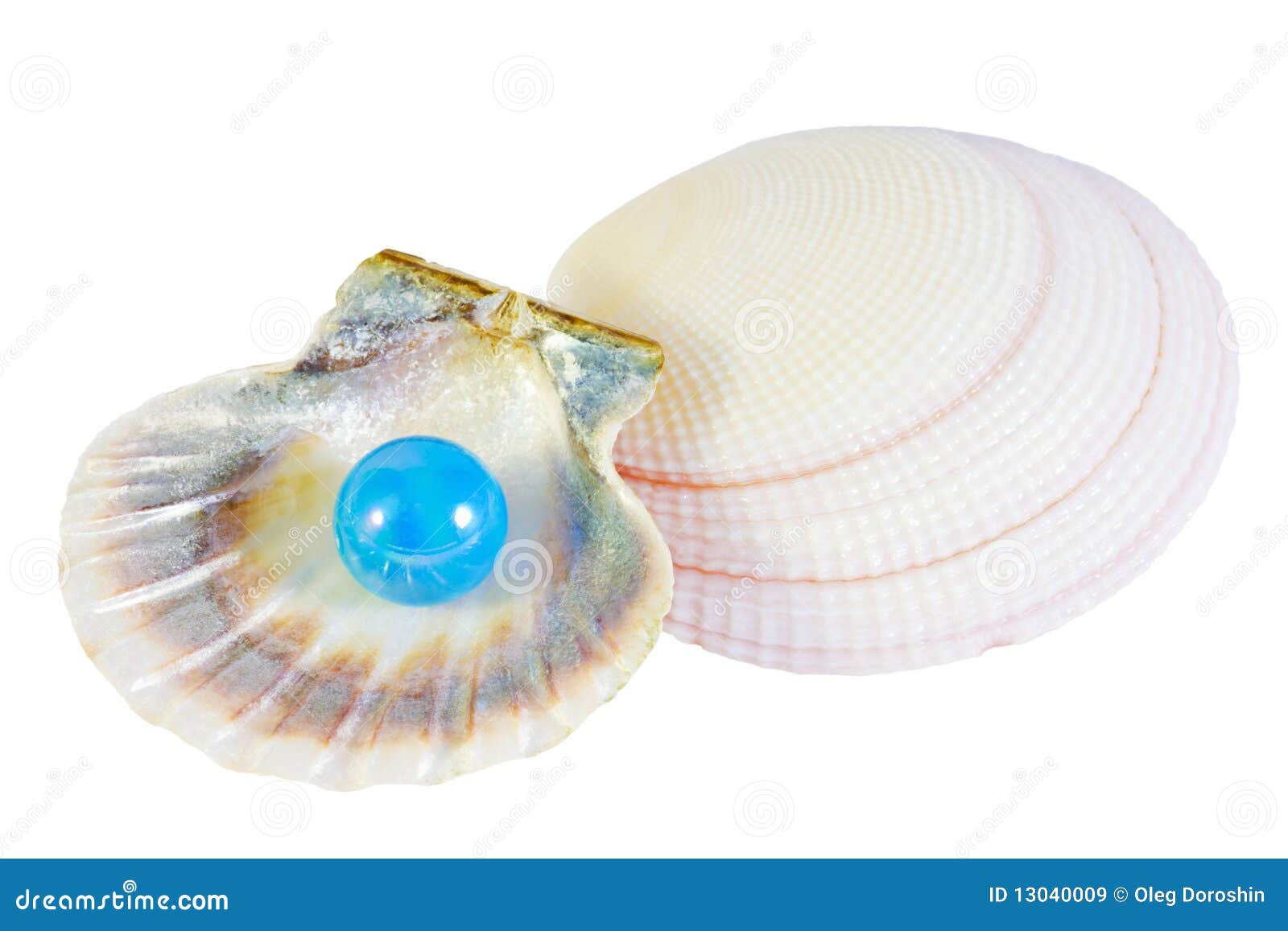 Pearls and shells stock image. Image of beauty, luxury - 13040009