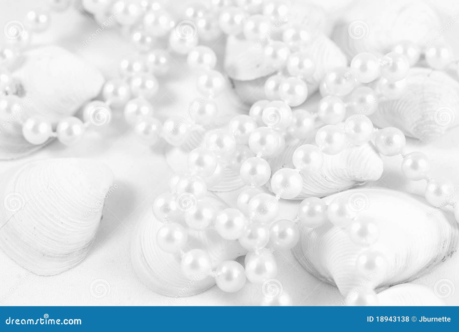 Pearls and shells stock photo. Image of close, white - 18943138