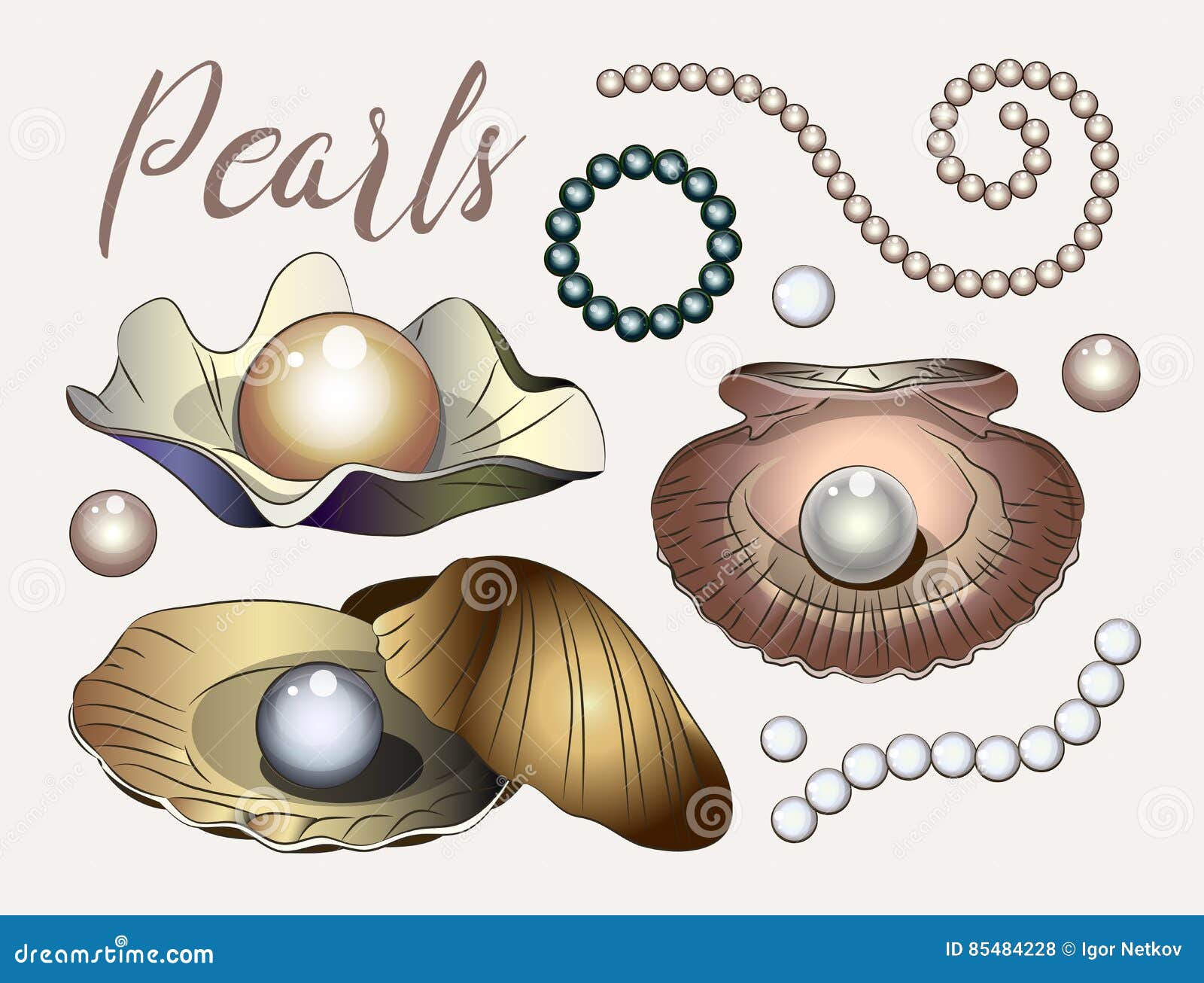 Pearls vector set stock vector. Illustration of fashion - 85484228