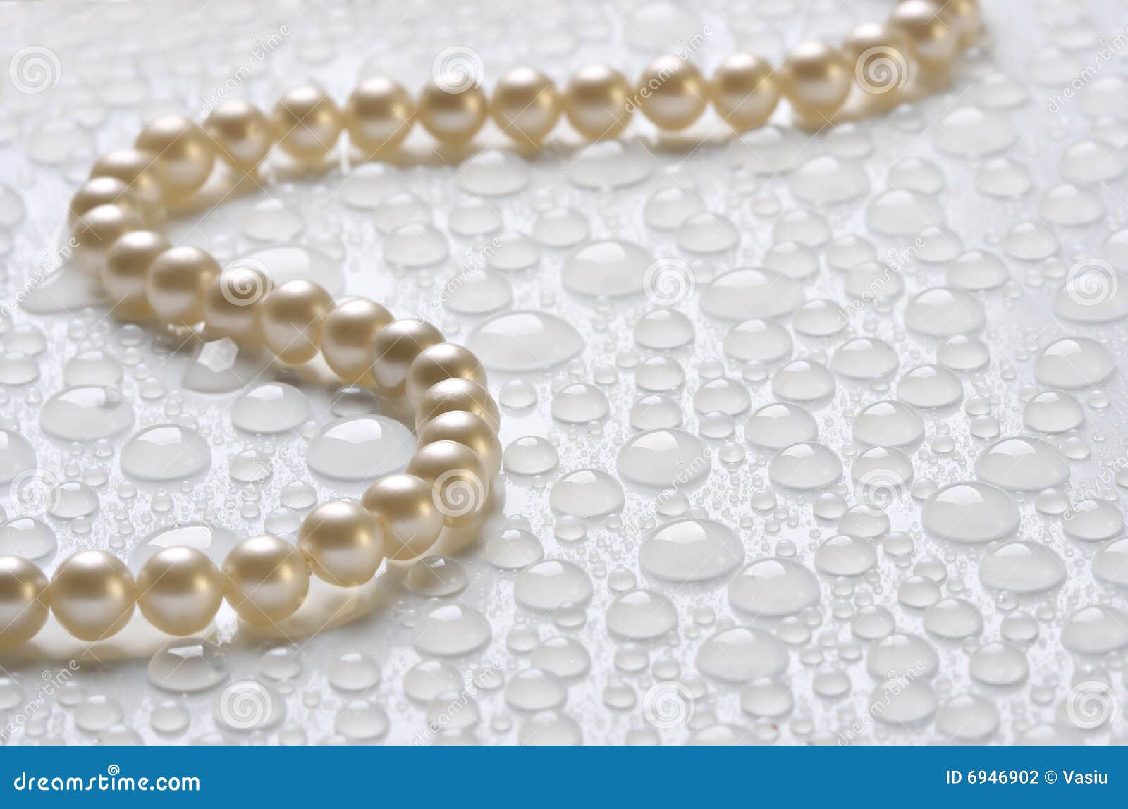 Pearls and water drops stock photo. Image of freshness - 6946902