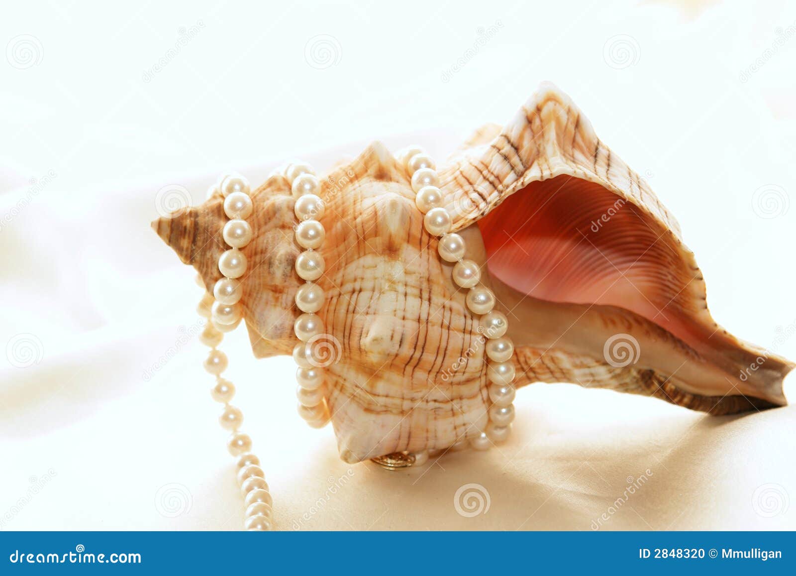 Pearls Wrapped Around Shell Stock Photo - Image of pretty, mollusk: 2848320