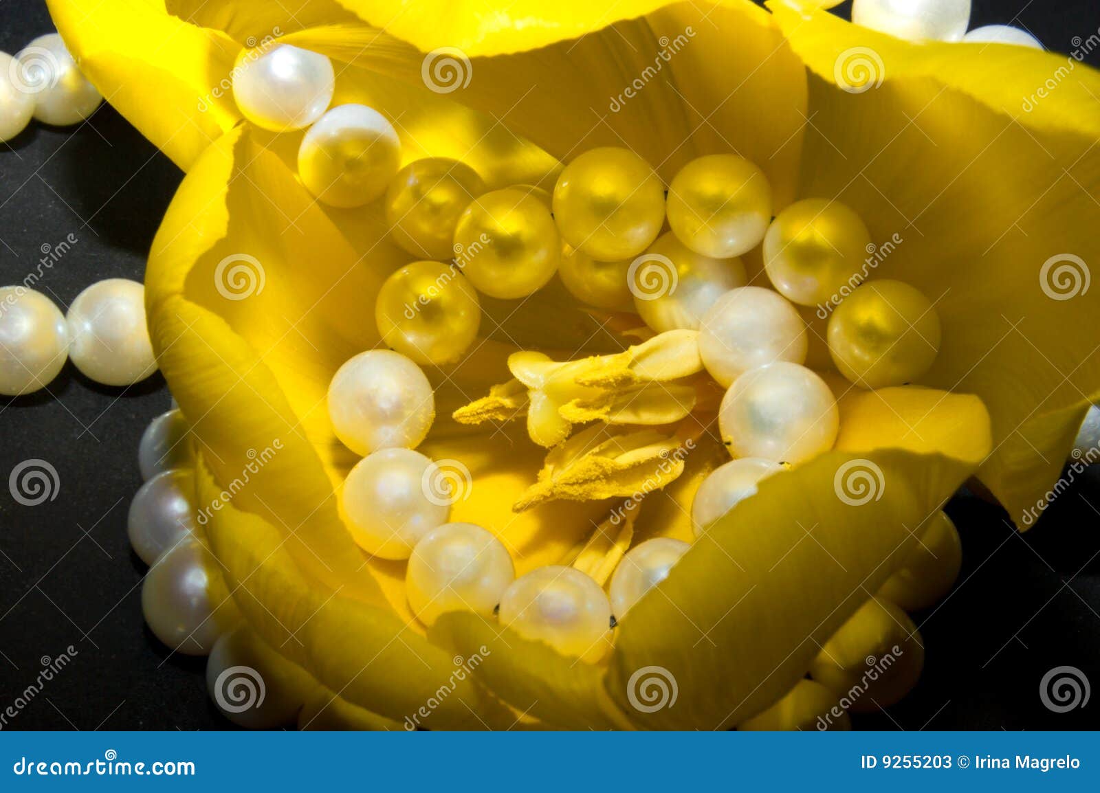 Pearls on yellow stock image. Image of glamour, jewelry - 9255203