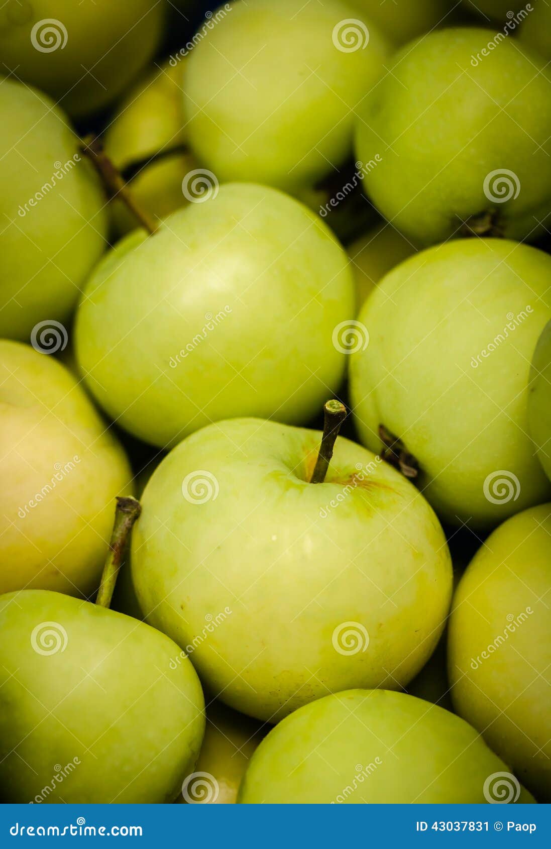 Pearmain apples stock image. Image of nutritional, tasty - 43037831