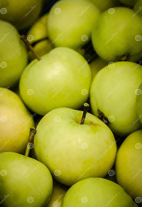Pearmain apples stock image. Image of nutritional, tasty - 43037831