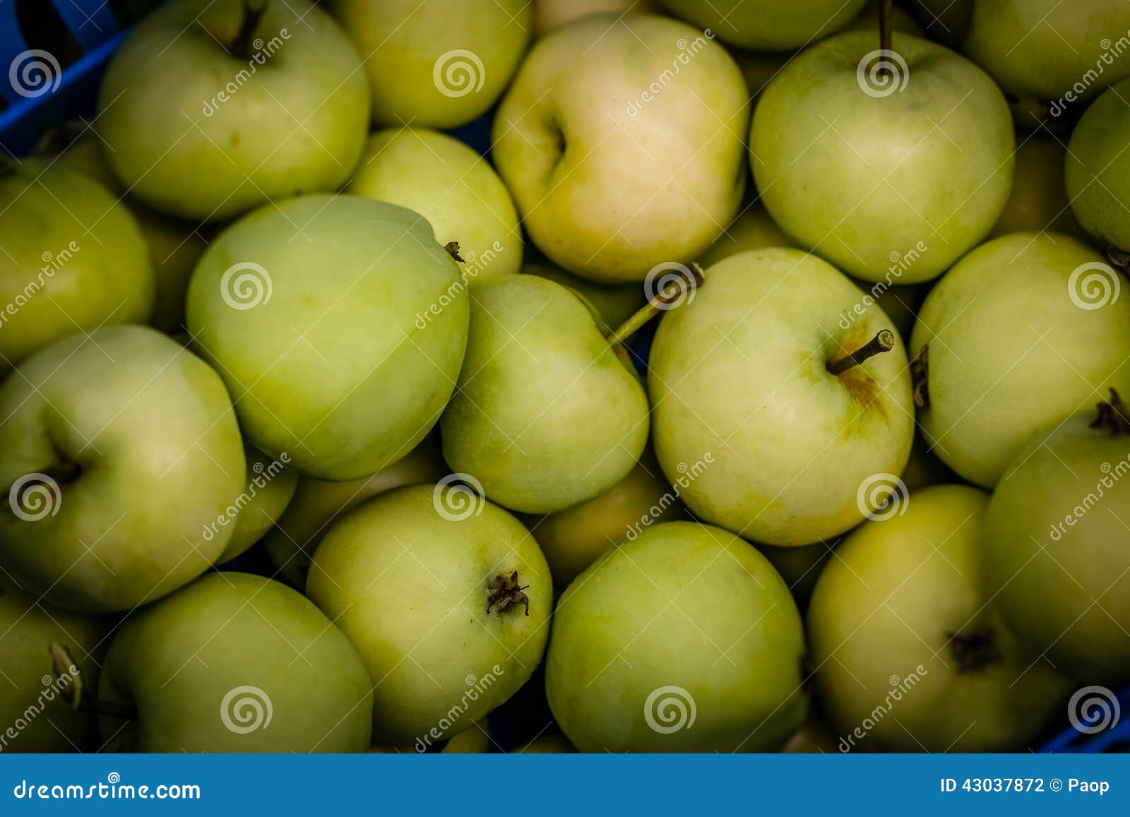 Pearmain apples stock photo. Image of apple, food, healthy - 43037872