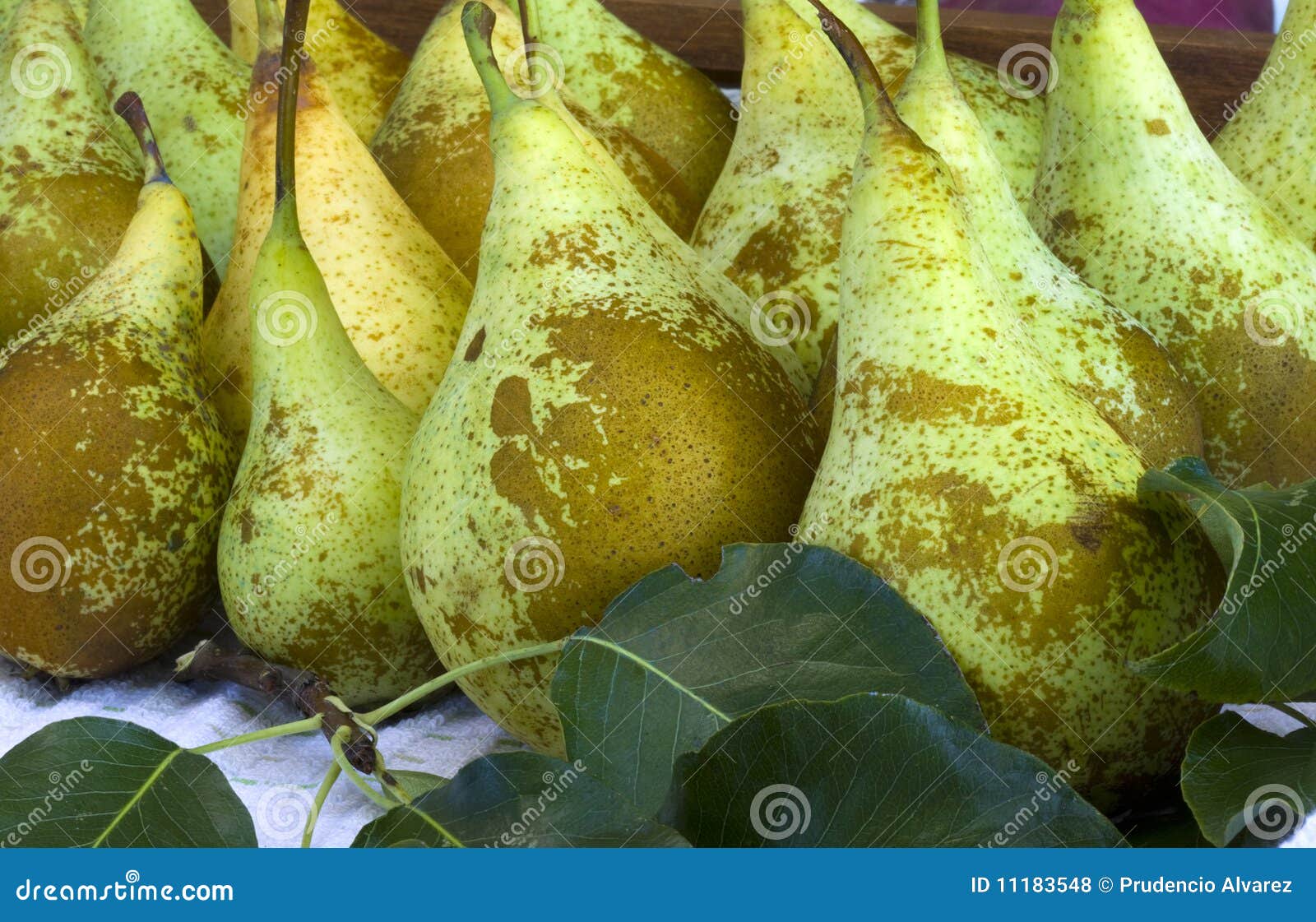 Pears stock photo. Image of healthy, natural, field, rural - 11183548