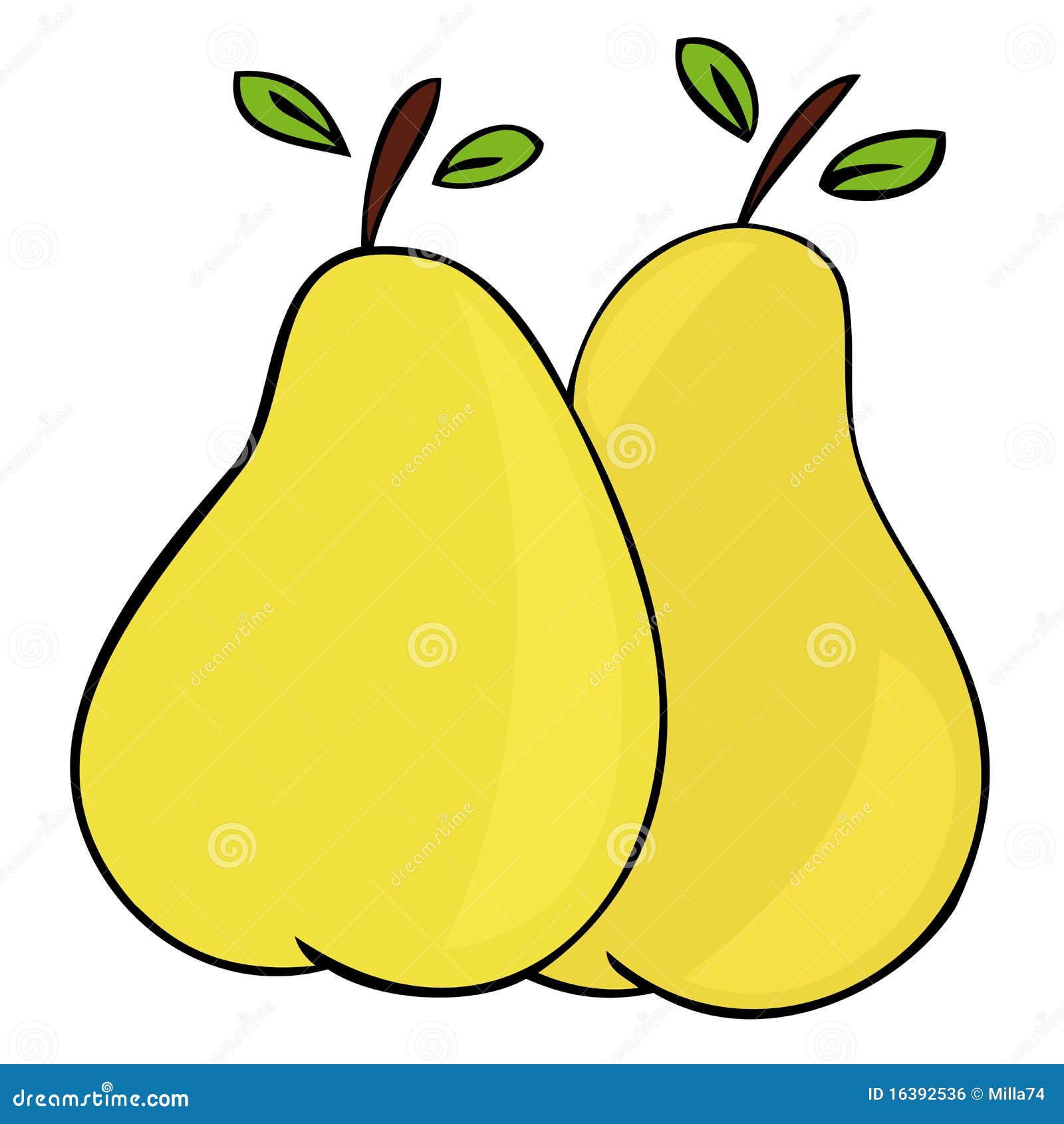 Pears. stock vector. Illustration of fresh, delicious - 16392536