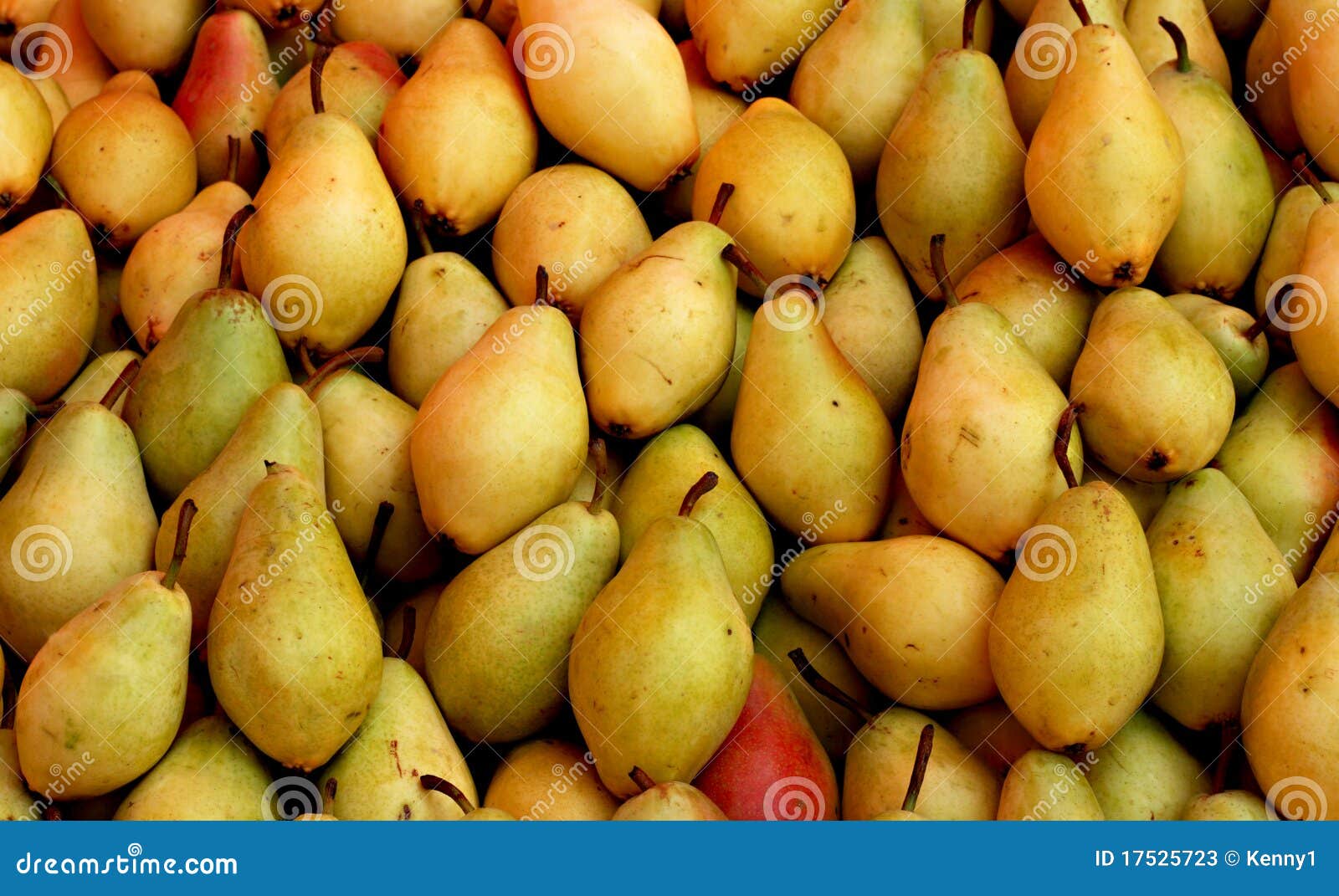 Pears stock image. Image of summer, leaf, fruit, color - 17525723