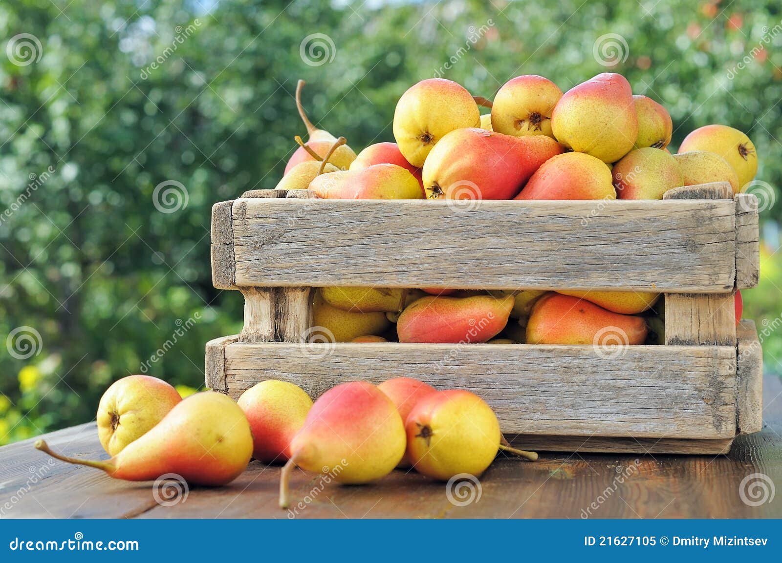 589 Pears Storage Stock Photos - Free & Royalty-Free Stock Photos from ...
