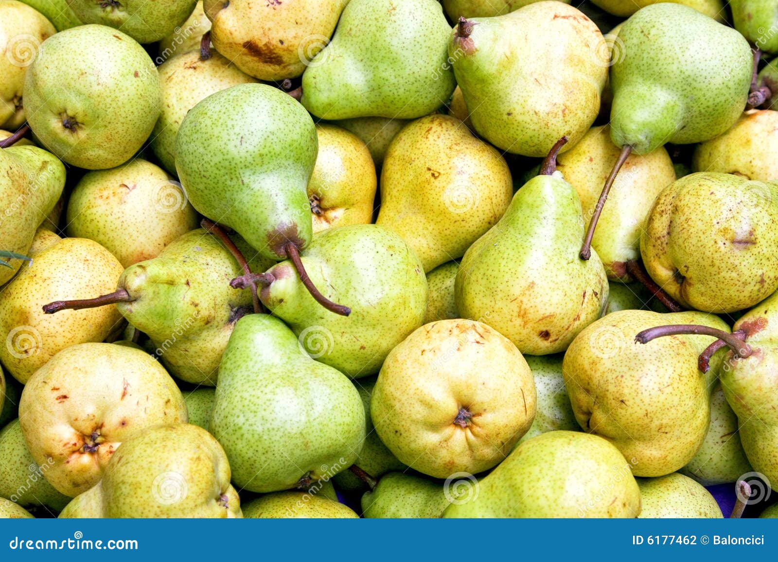 Pears stock photo. Image of foods, food, healthy, nutrition - 6177462