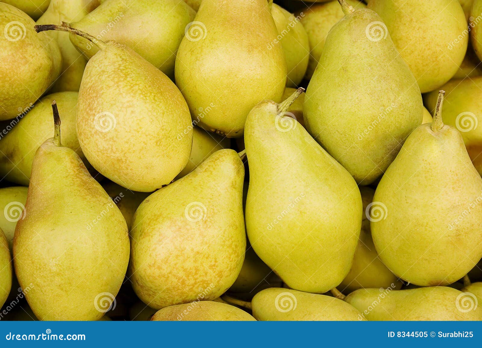 Pears stock image. Image of fruit, sweet, vitamins, pears - 8344505