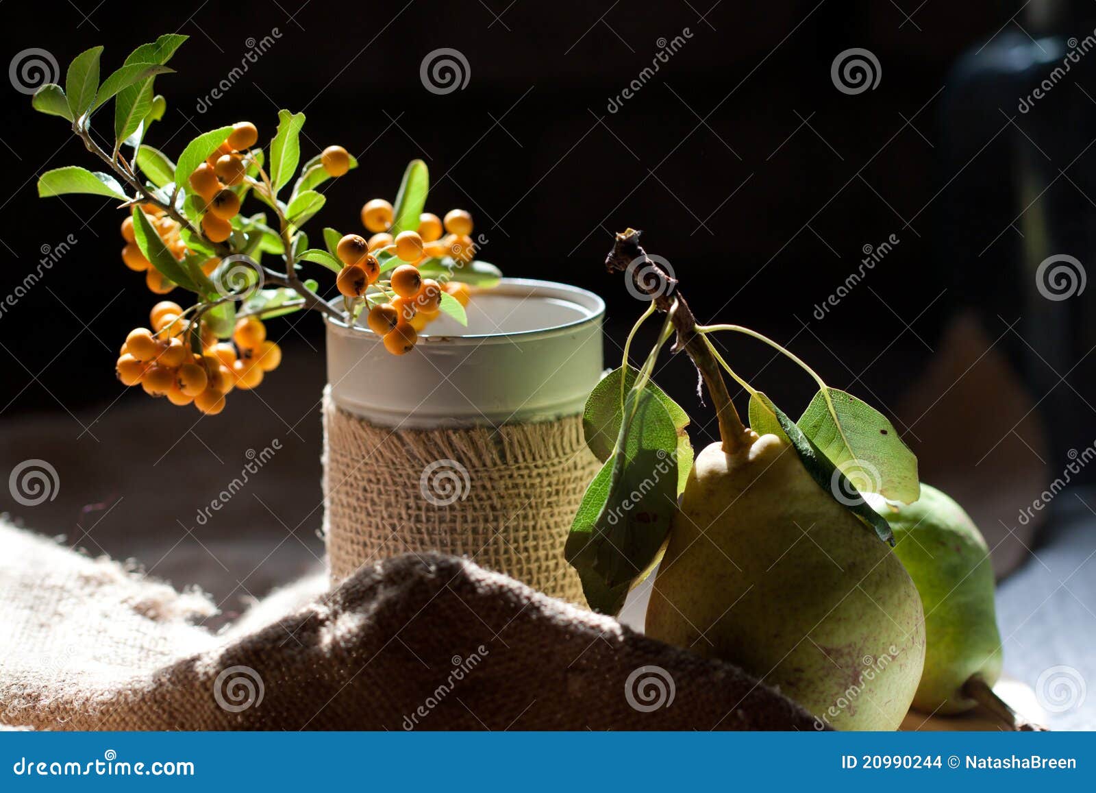 Pears and berry stock photo. Image of element, food, calorie - 20990244