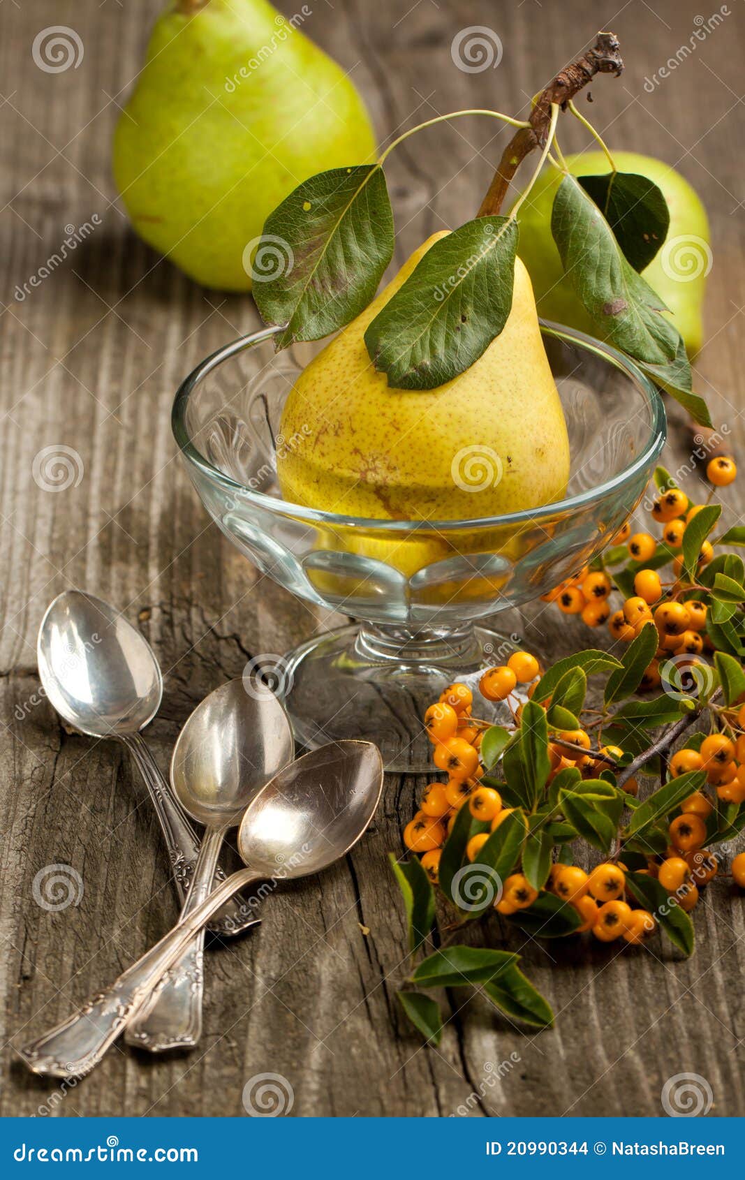Pears and berry stock photo. Image of healthy, element - 20990344