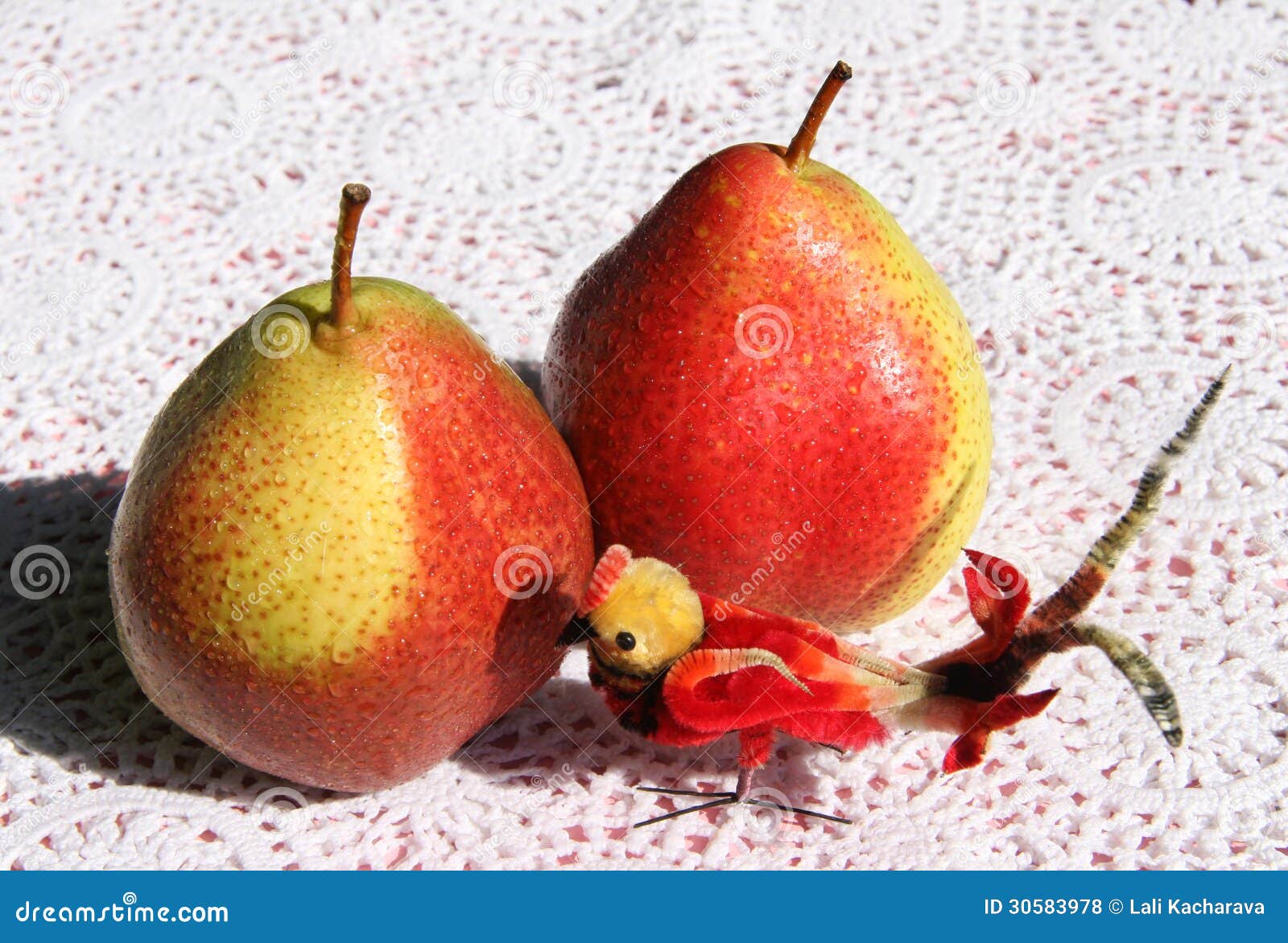 Pears and bird of paradise stock photo. Image of pears - 30583978