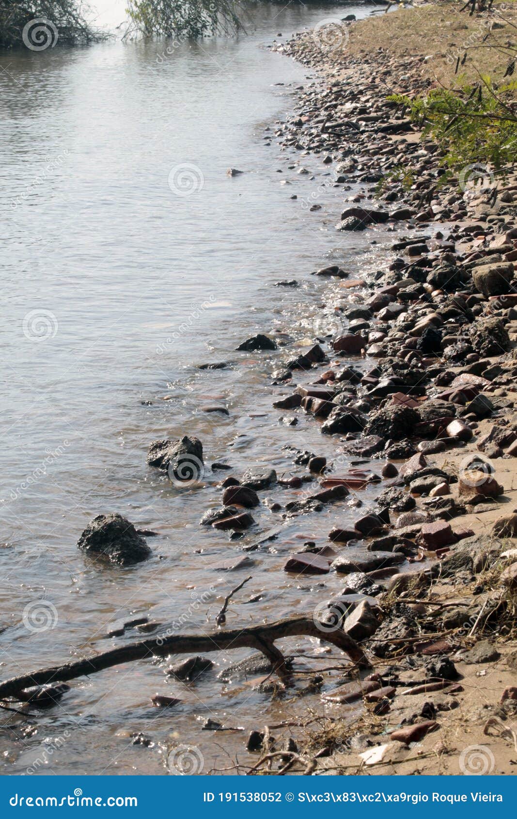 PEARS on the RIVER BORDER stock photo. Image of lighted - 191538052