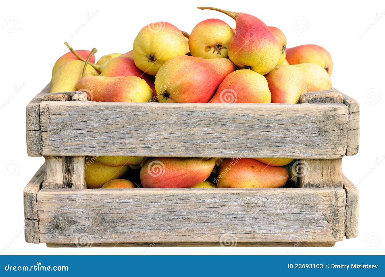 Pears in box stock image. Image of white, background - 23693103