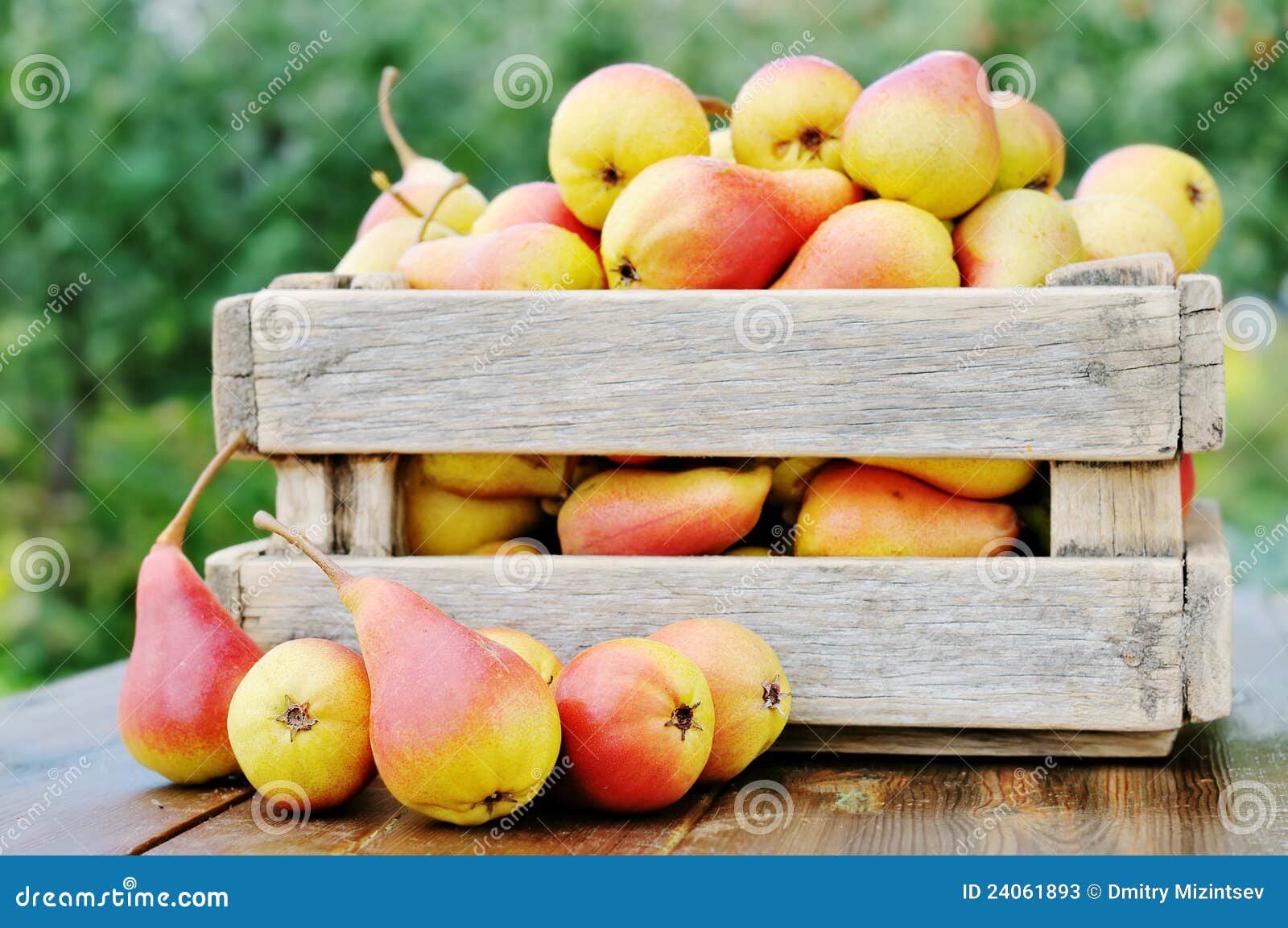 Pears in box stock image. Image of pears, food, juicy - 24061893
