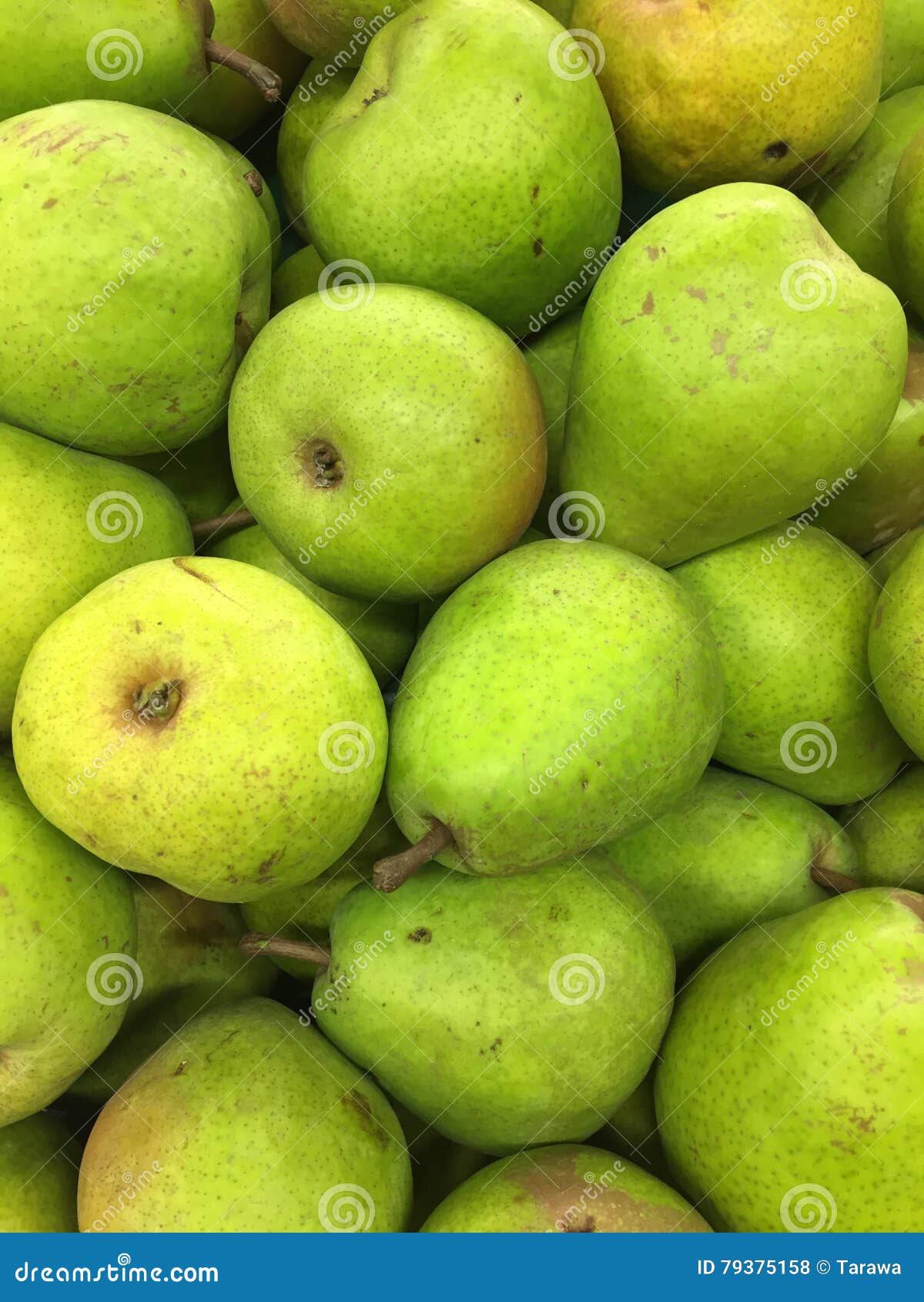 Pears stock photo. Image of yummy, life, harvest, tasty - 79375158