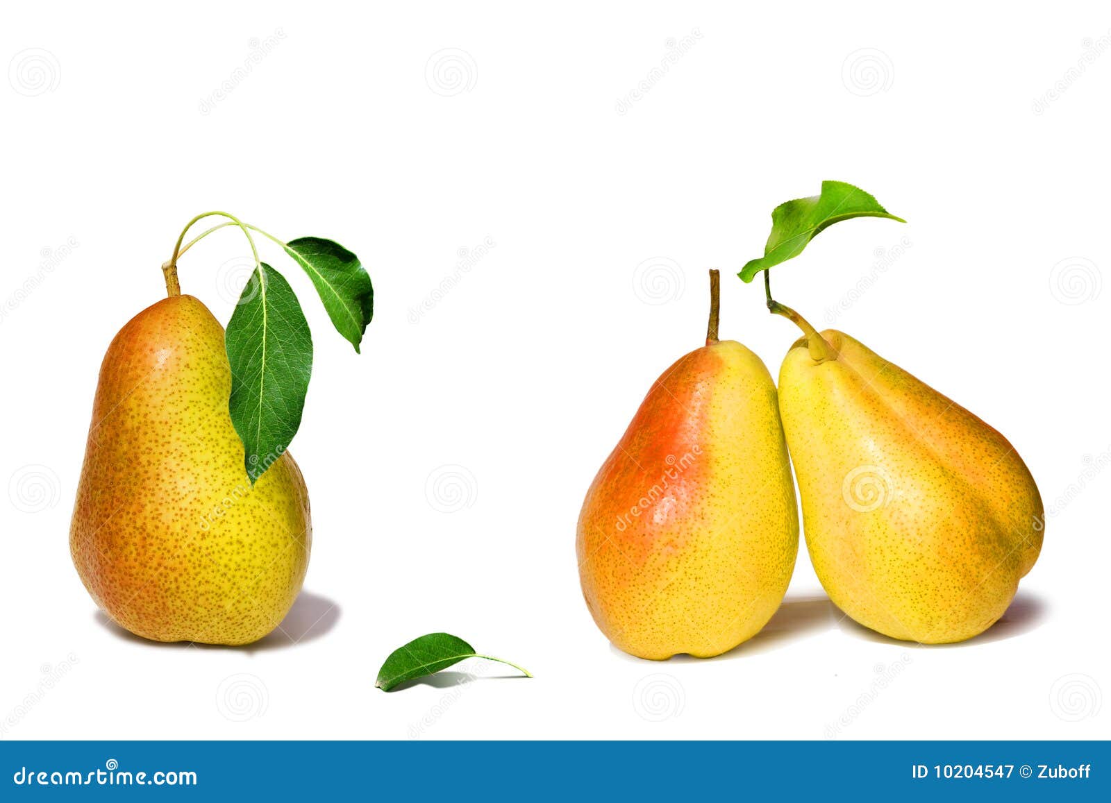 Pears collection stock image. Image of pear, life, fruit - 10204547