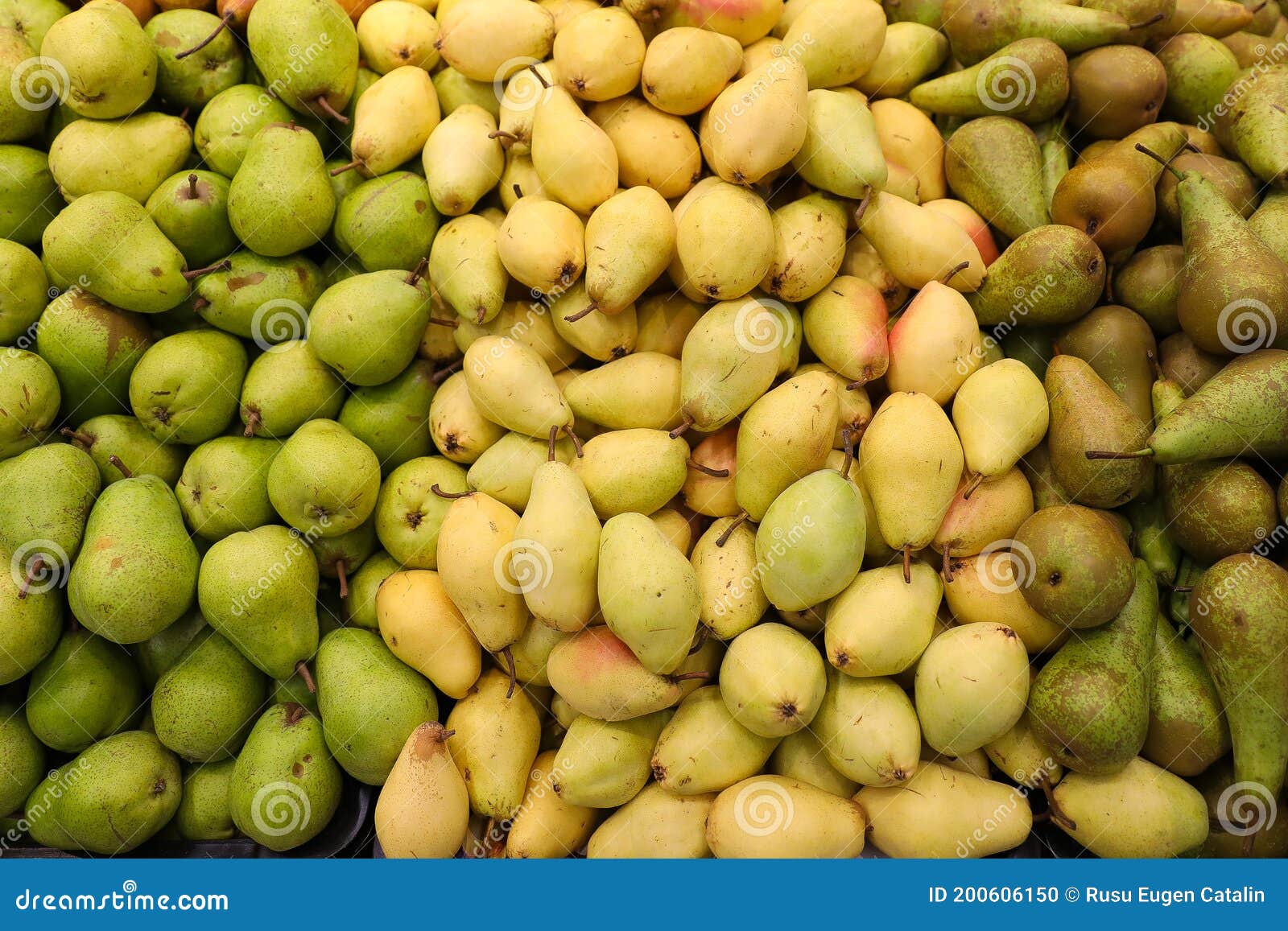 Pears of different colors stock photo. Image of fruits - 200606150