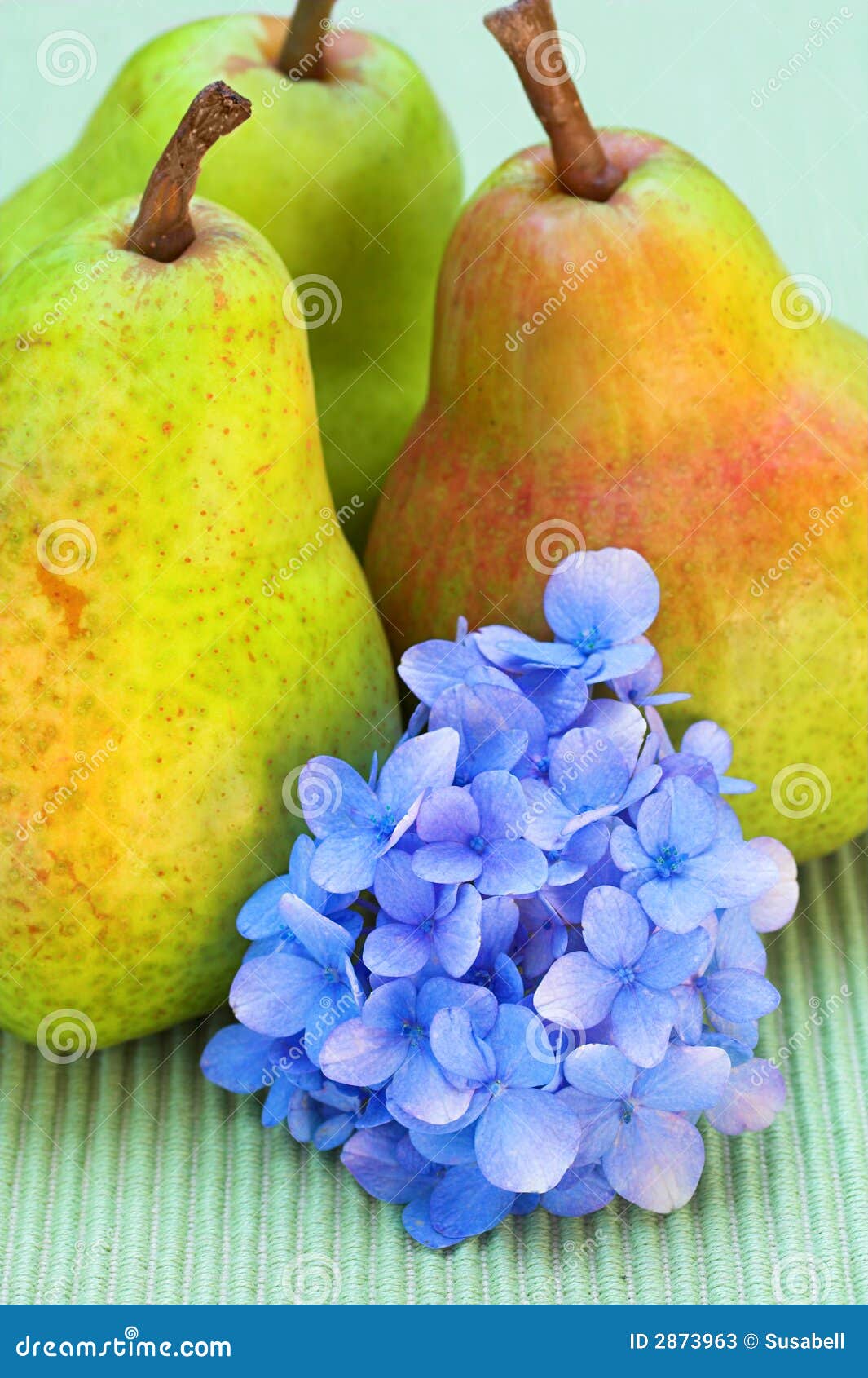 Pears and flower stock image. Image of blue, blooming - 2873963
