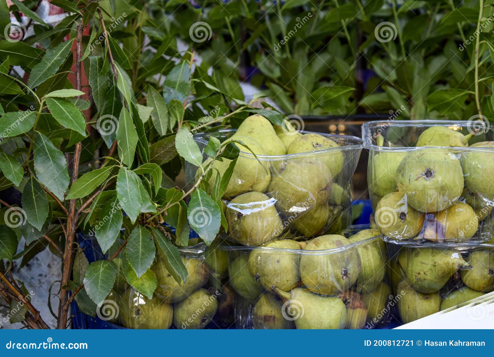 Pears on the fruit counter stock image. Image of house - 200812721