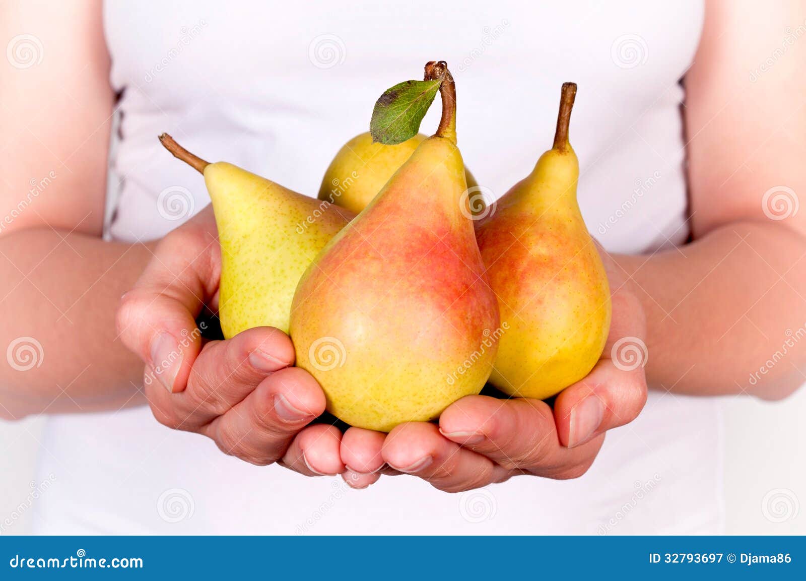 Pears in hands stock image. Image of hands, growth, autumn - 32793697
