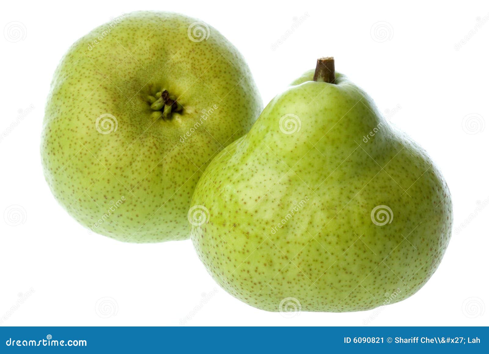 Pears Isolated stock image. Image of pear, south, fruits - 6090821