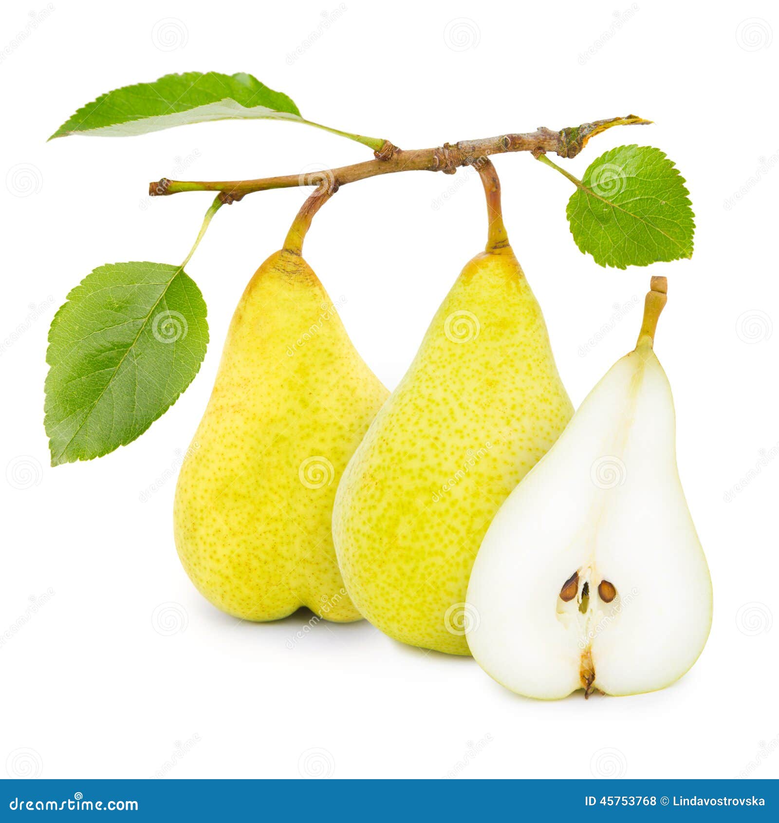 Pears isolated stock photo. Image of juicy, food, closeup - 45753768