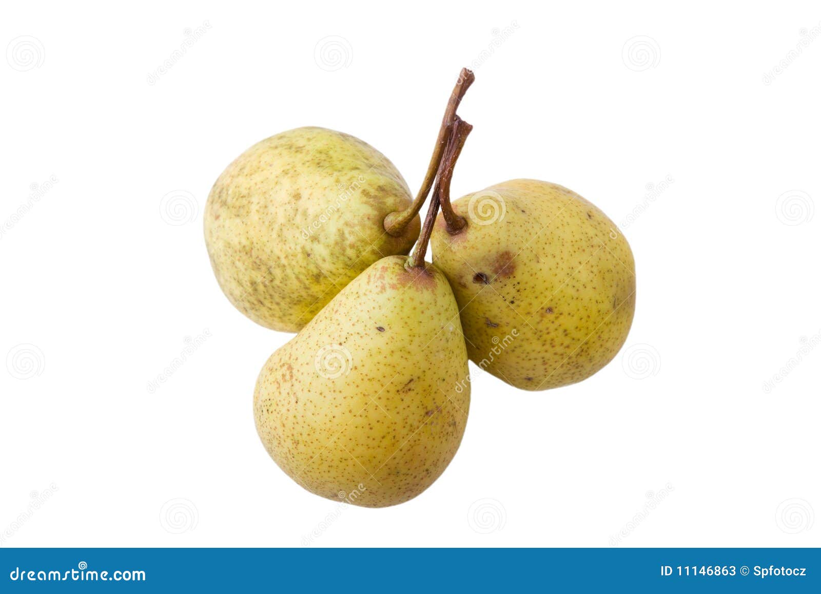 Pears isolated on white stock image. Image of pair, fresh - 11146863